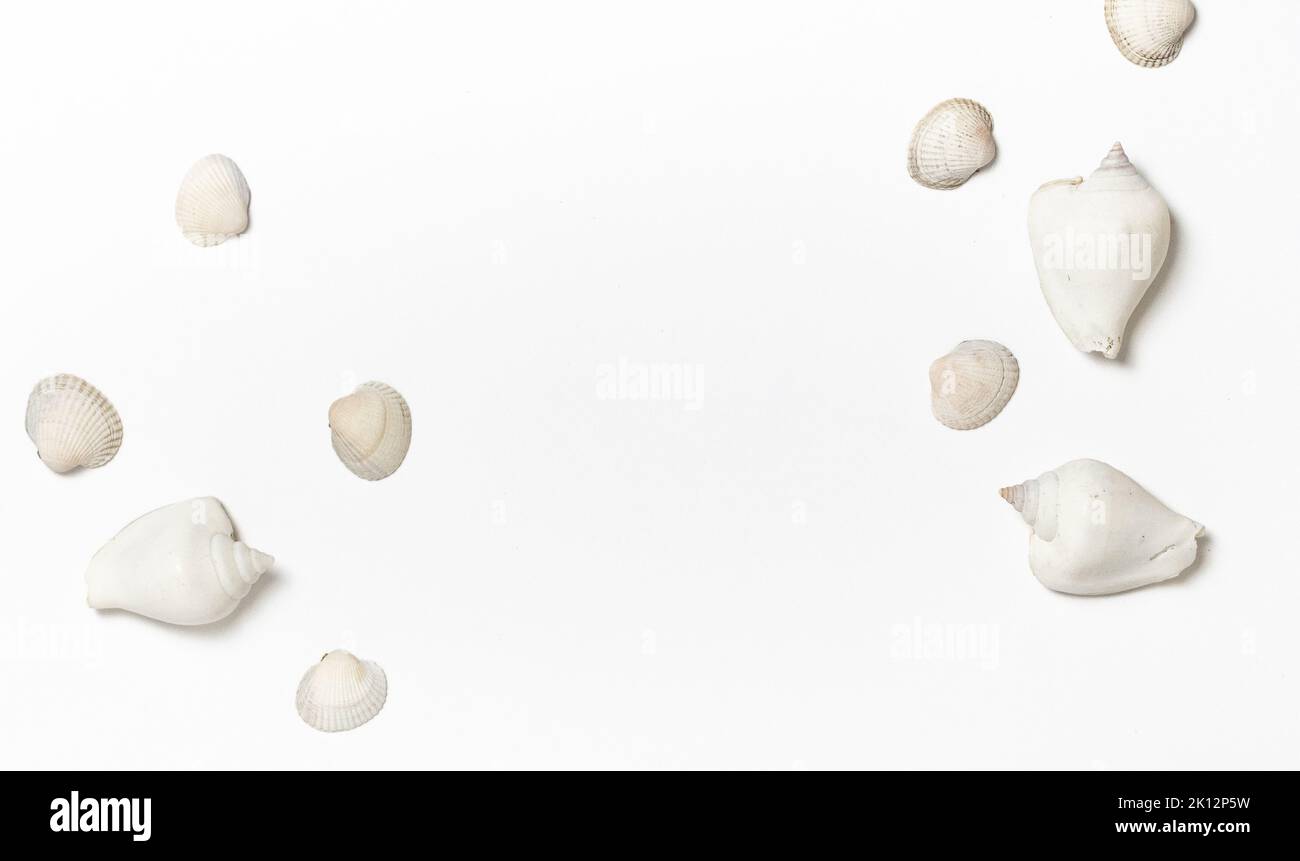 Overhead of many sea shells on white background Stock Photo - Alamy