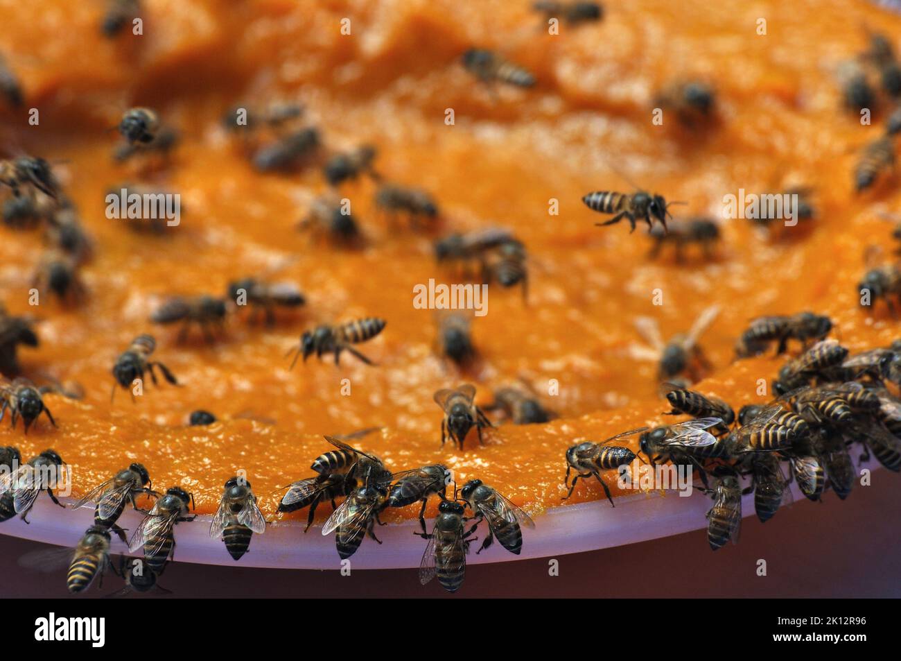 Jam texture hi-res stock photography and images - Alamy