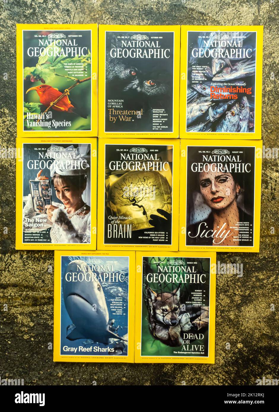National Geographic magazine cover collection, 1993 Stock Photo - Alamy