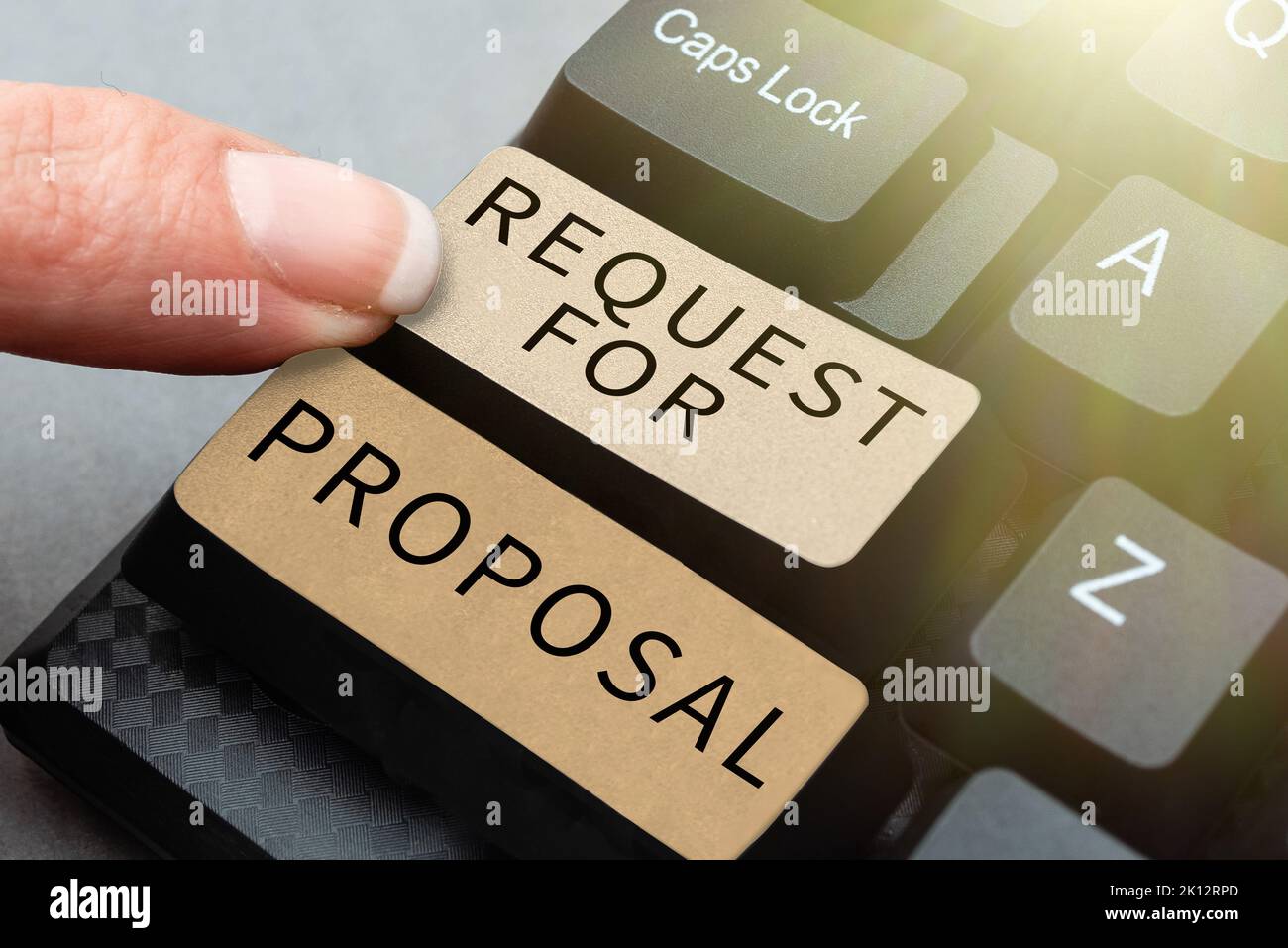 Conceptual display Back Up. Business showcase document contains bidding ...