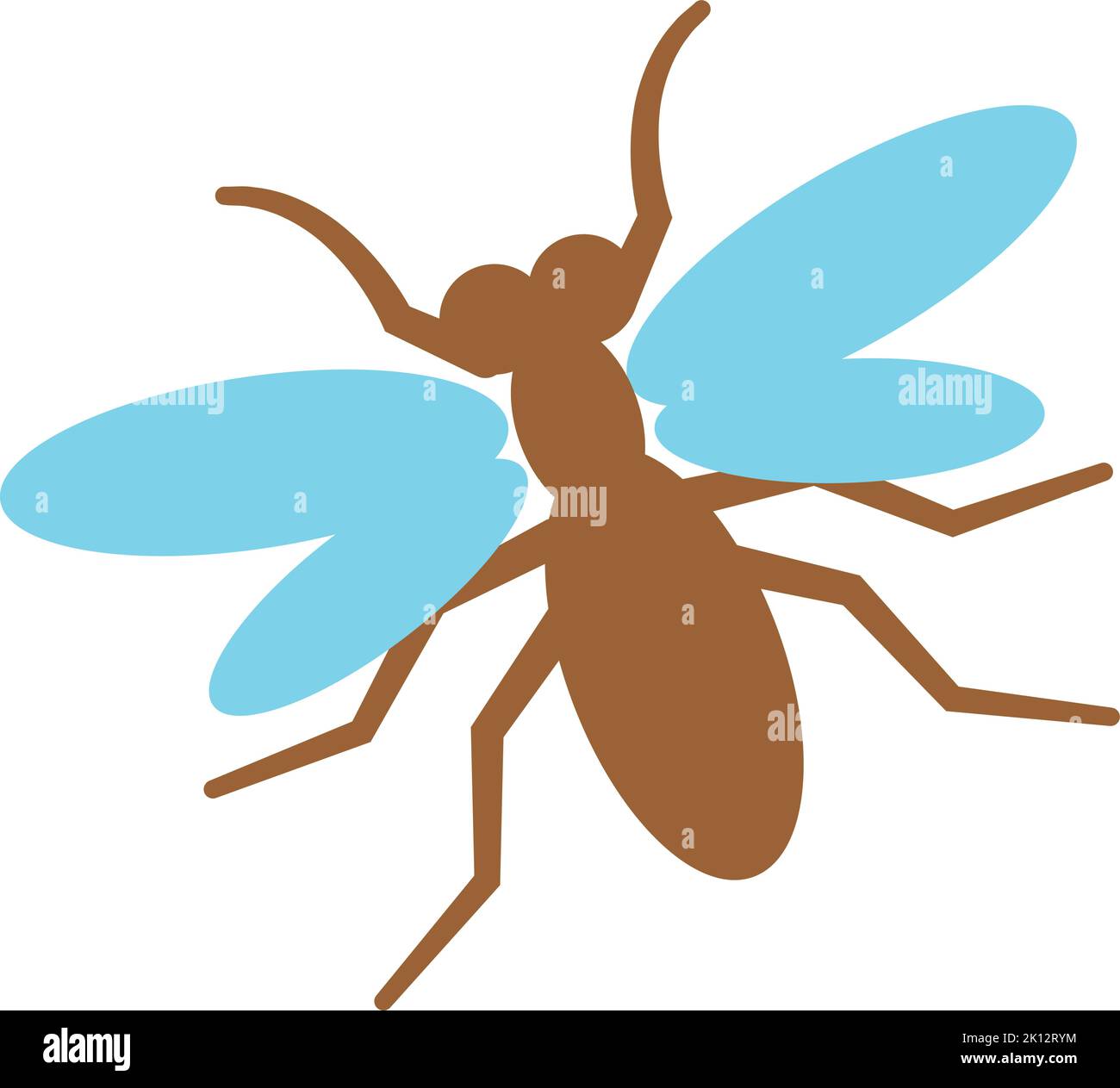 Fly icon. Winged insect symbol. Bug sign Stock Vector Image & Art - Alamy