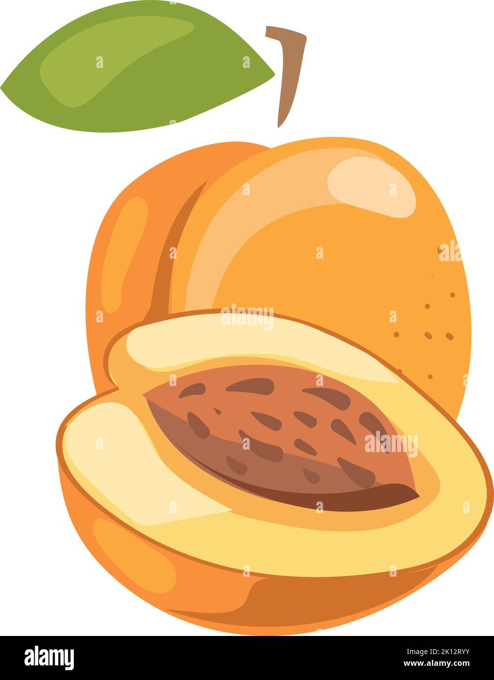 Apricot sticker Stock Vector Images - Alamy