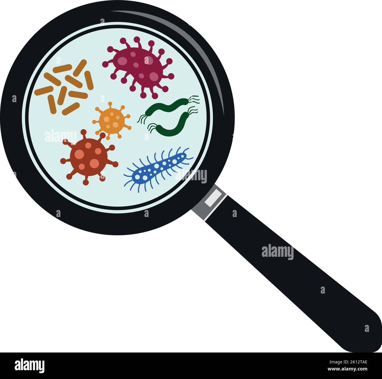 Microbes under magnifying glass. Biology research color icon Stock ...