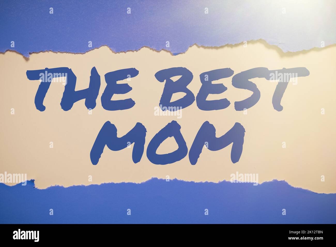 Handwriting text The Best Mom. Word Written on Appreciation for your ...