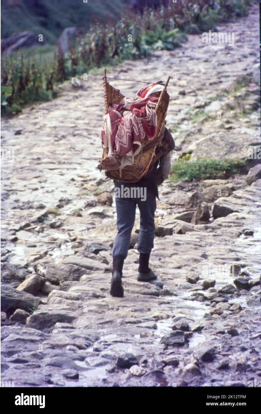 Lifting People on Back Pack, Kedarnath Stock Photo - Alamy