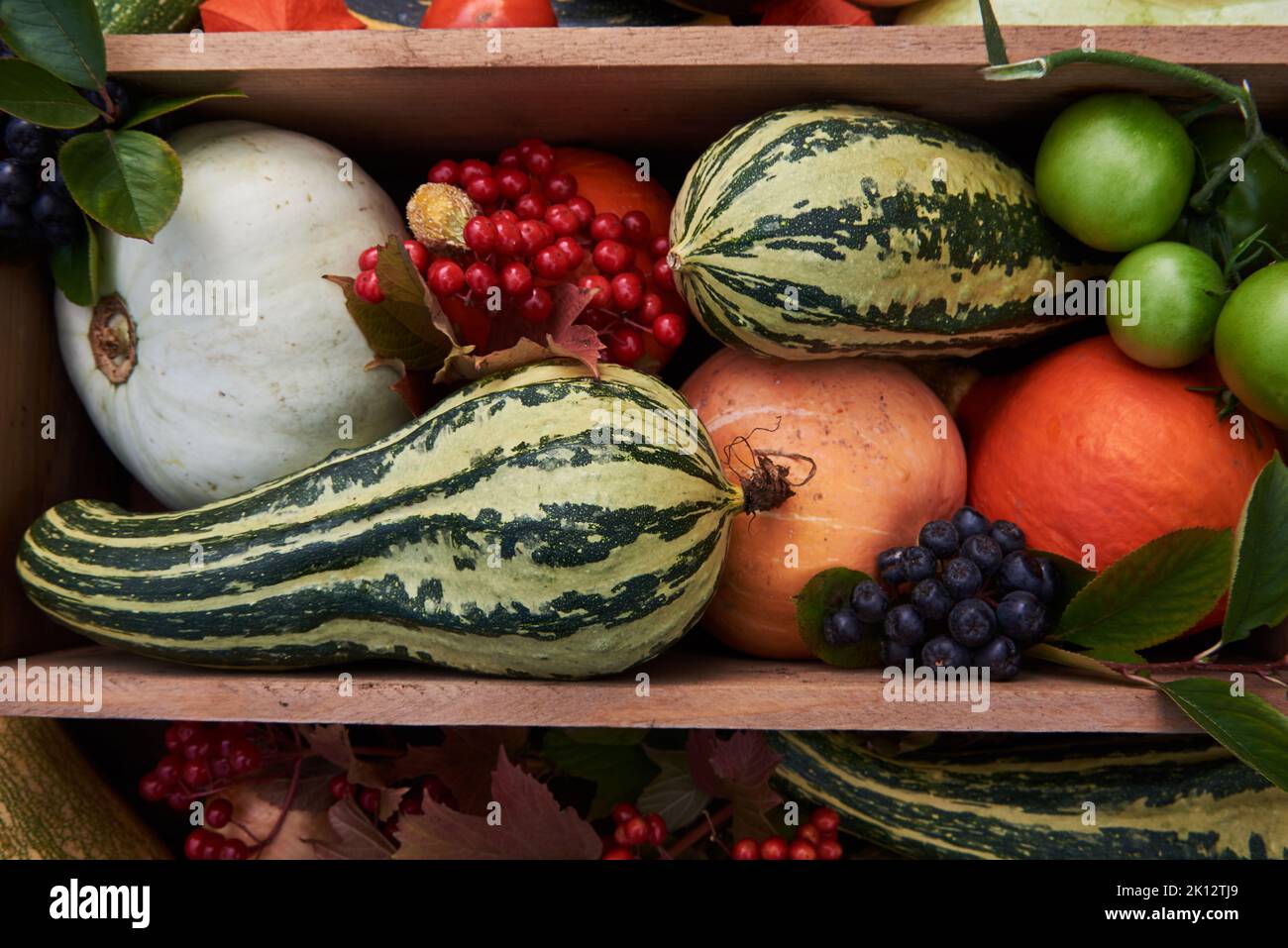 Delicious autumn vegetables in and around a wooden box. Full frame ripe ...