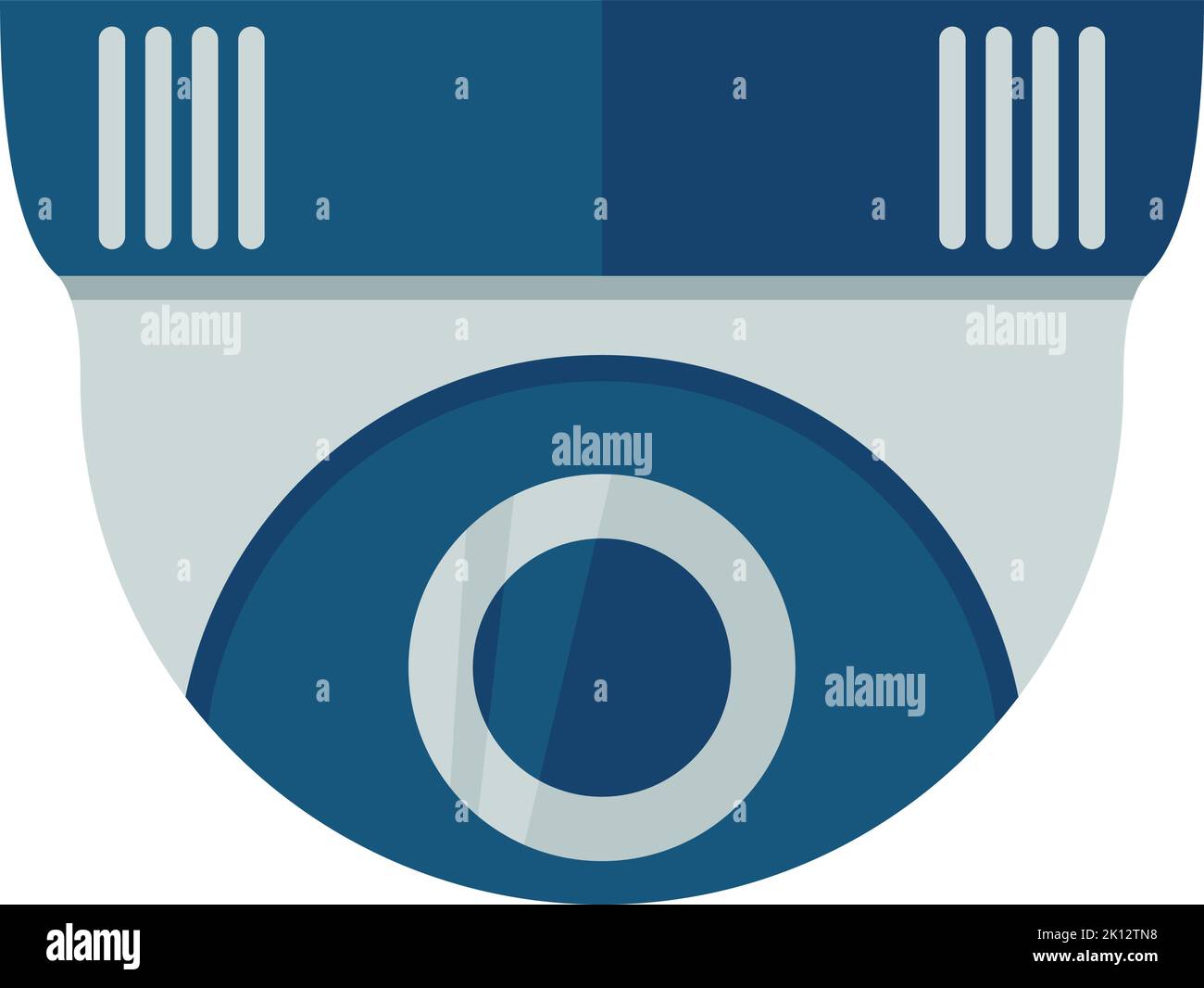 Security camera icon. Video surveillance color sign Stock Vector Image ...