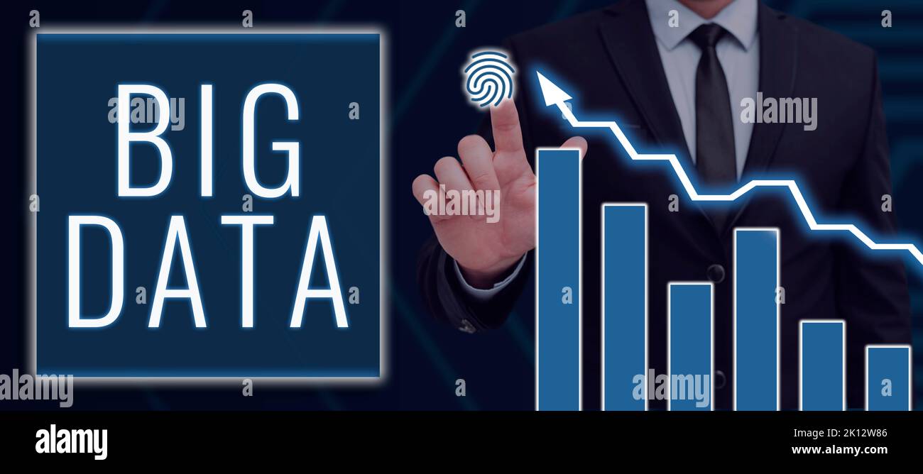 Text sign showing Big Data. Business concept sets that so complex that ...