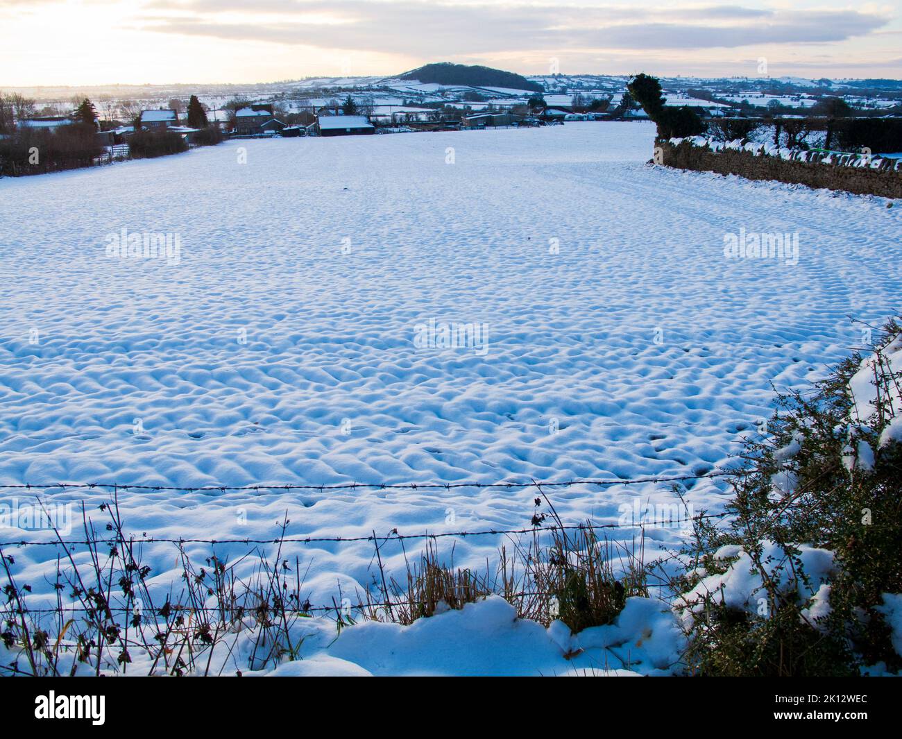 Field ice hi-res stock photography and images - Alamy