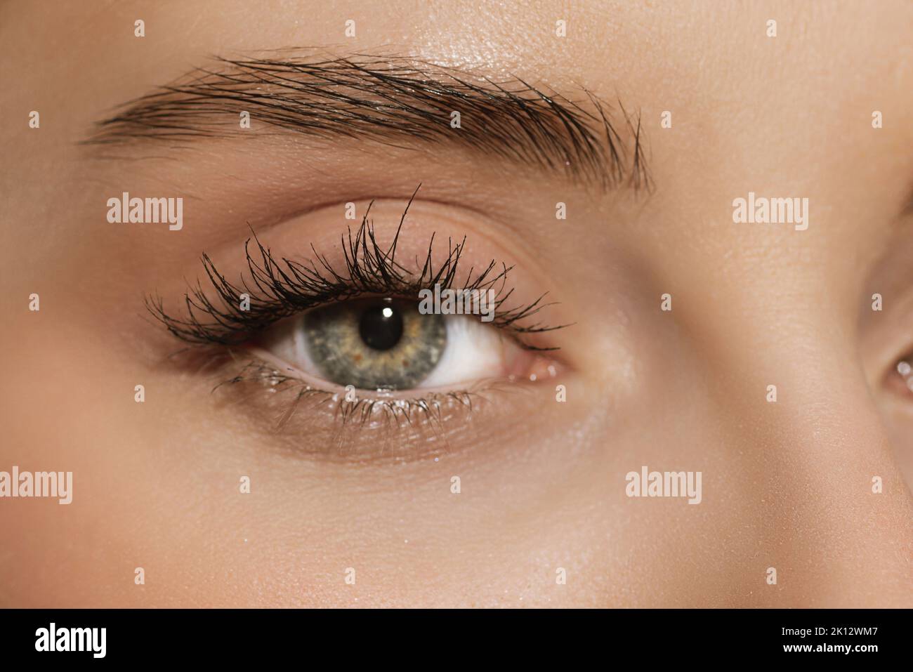 Blue eyes and perfect shapes of eyebrows. Close up portrait of beautiful young girl looking at ...