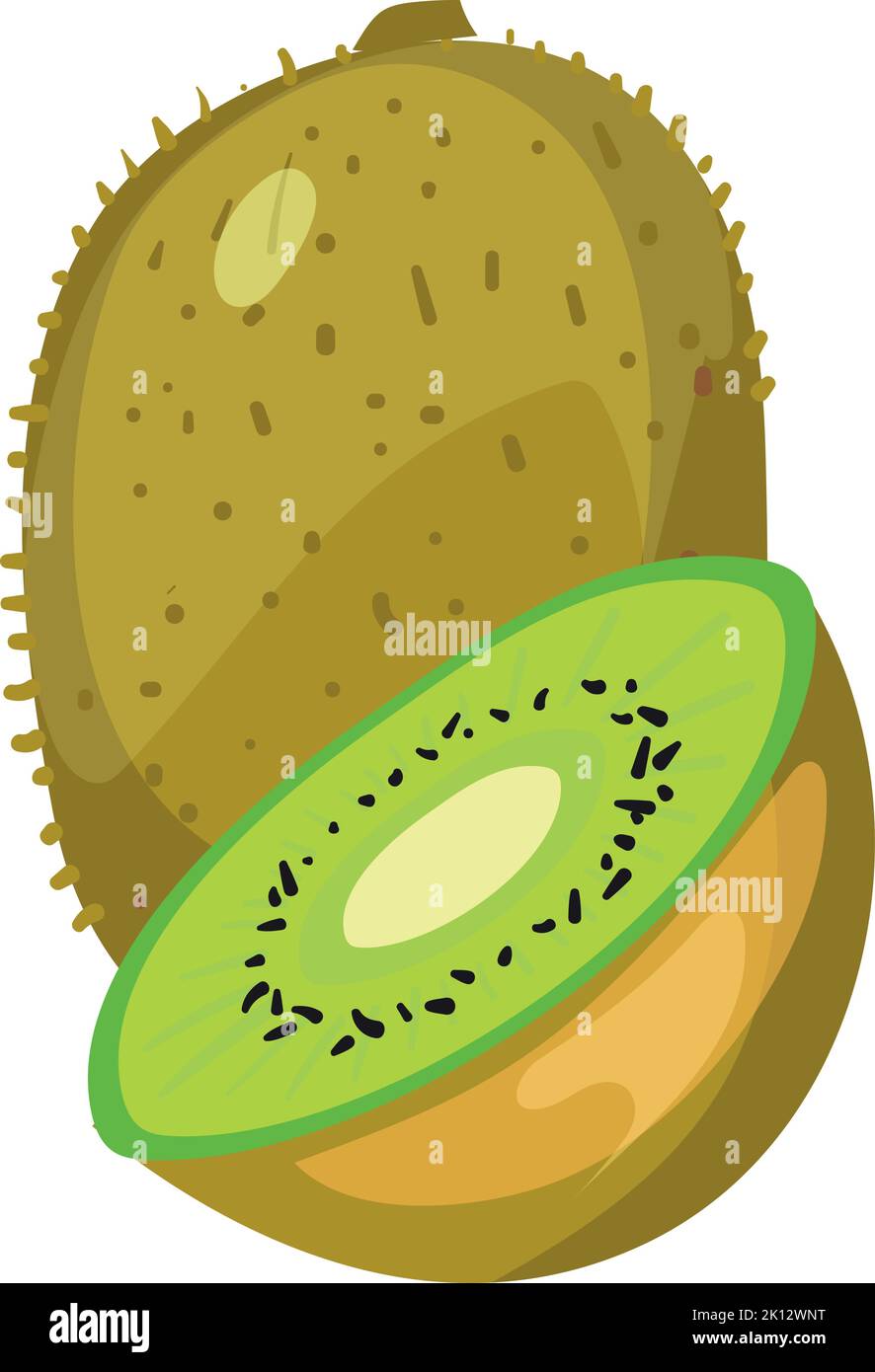 Green kiwi icon cartoon Cut Out Stock Images & Pictures - Alamy