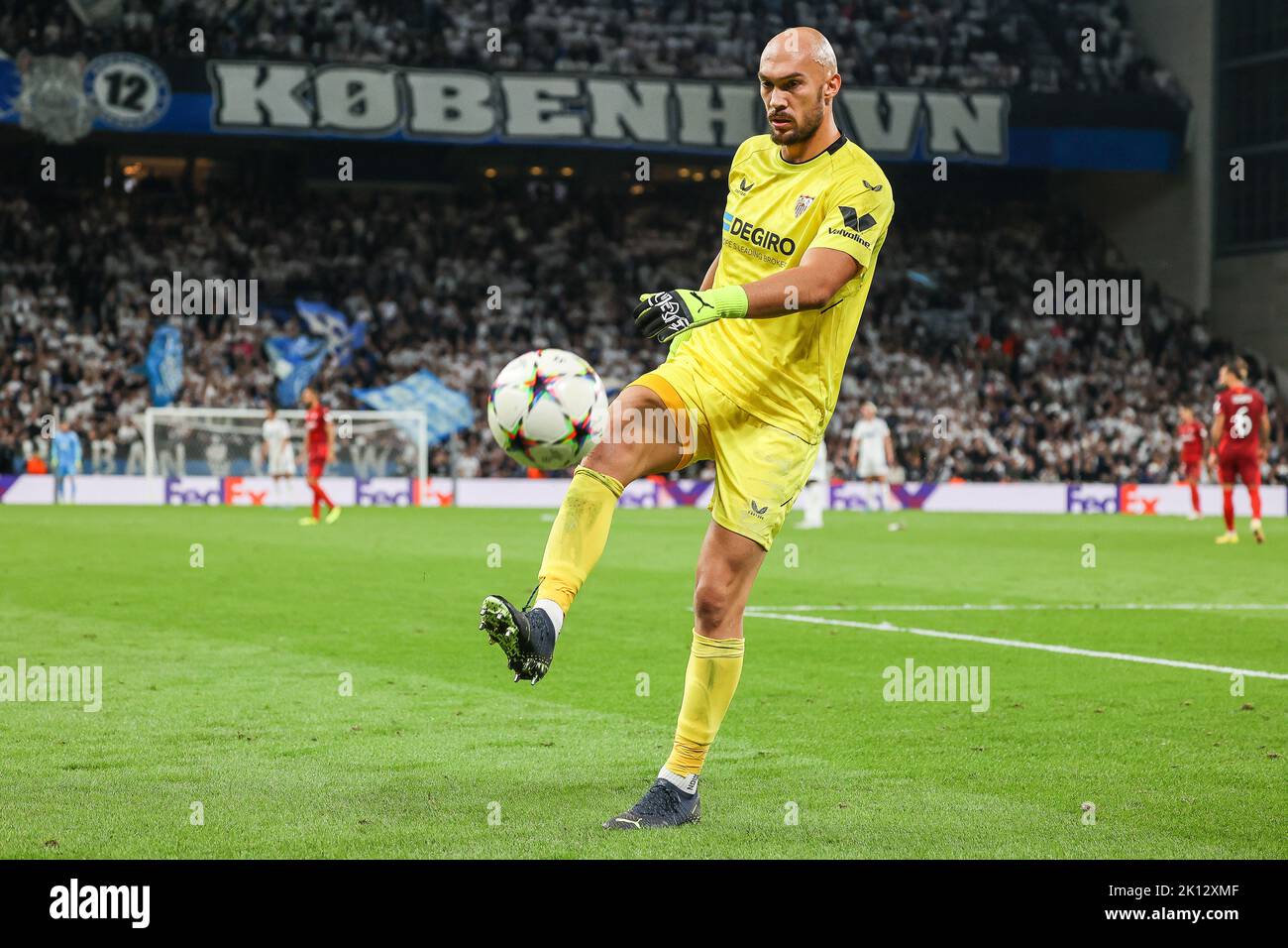 Copenhagen, Denmark. 14th Sep, 2022. Goalkeeper Marko Dmitrovic (1) of ...