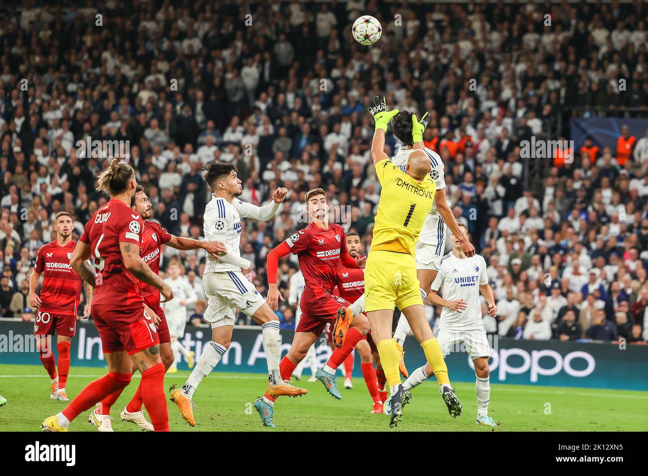 Copenhagen, Denmark. 14th Sep, 2022. Goalkeeper Marko Dmitrovic (1) of ...