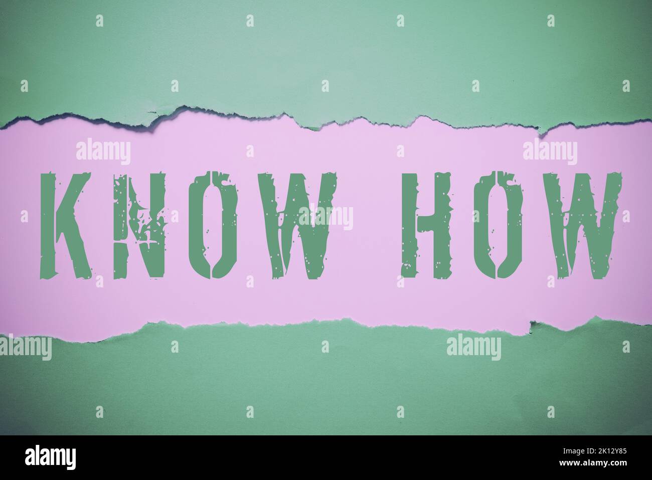 Conceptual display Know How. Business idea The process to learn of ...