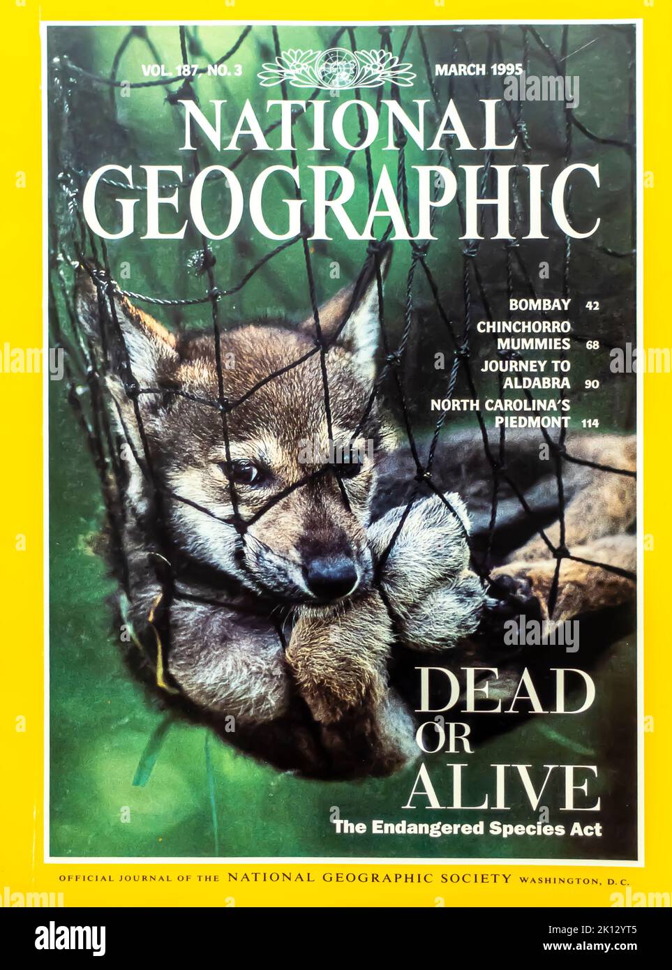 National Geographic magazine cover, march 1995 Stock Photo - Alamy