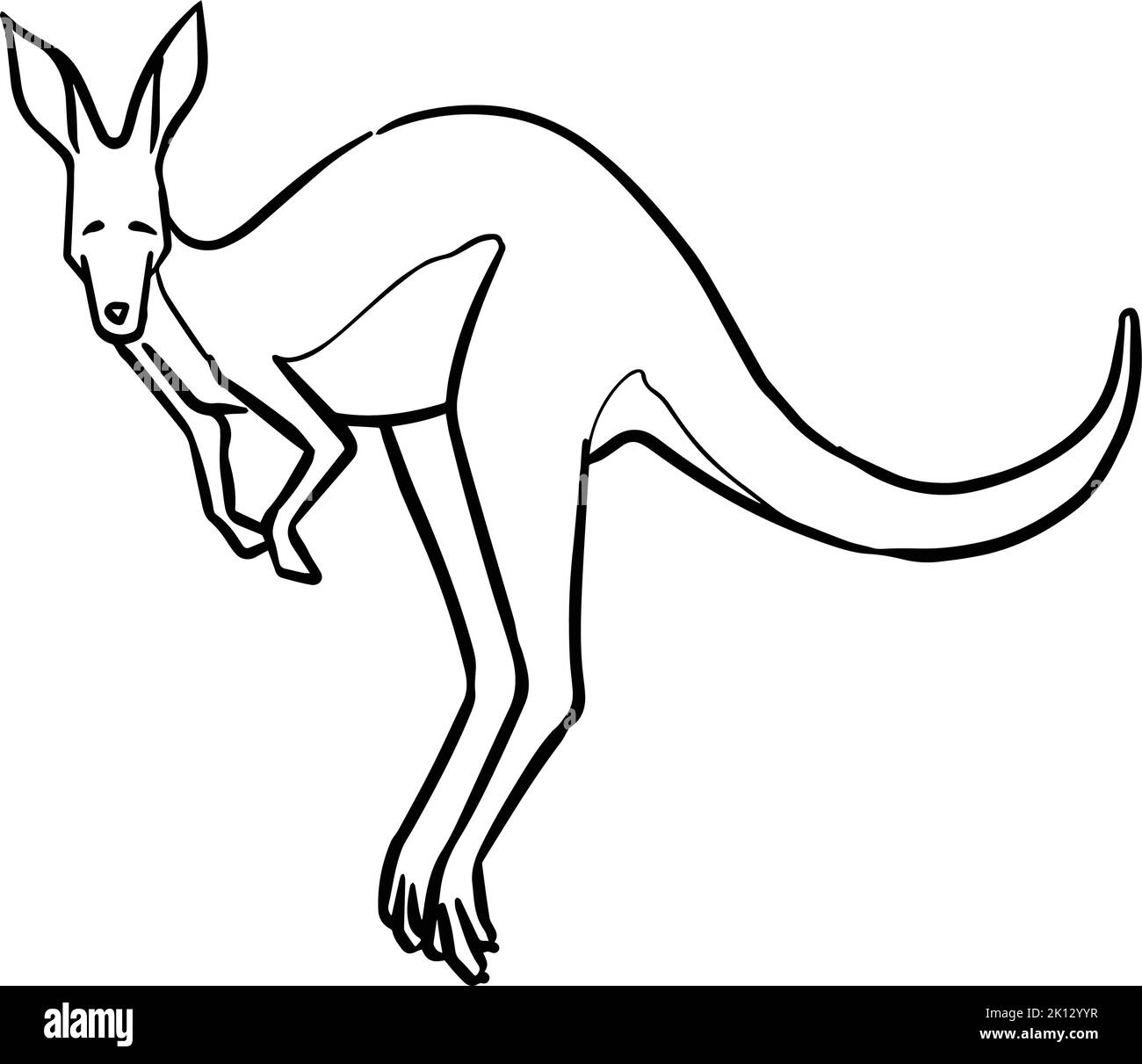 Hand drawn jumping kangaroo. Vector illustration Stock Vector Image ...
