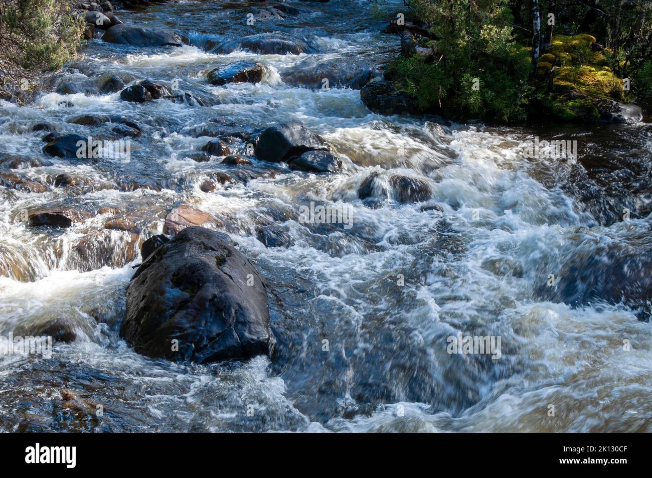 Lake St Clair Australia, view of a mountain stream, with water running ...