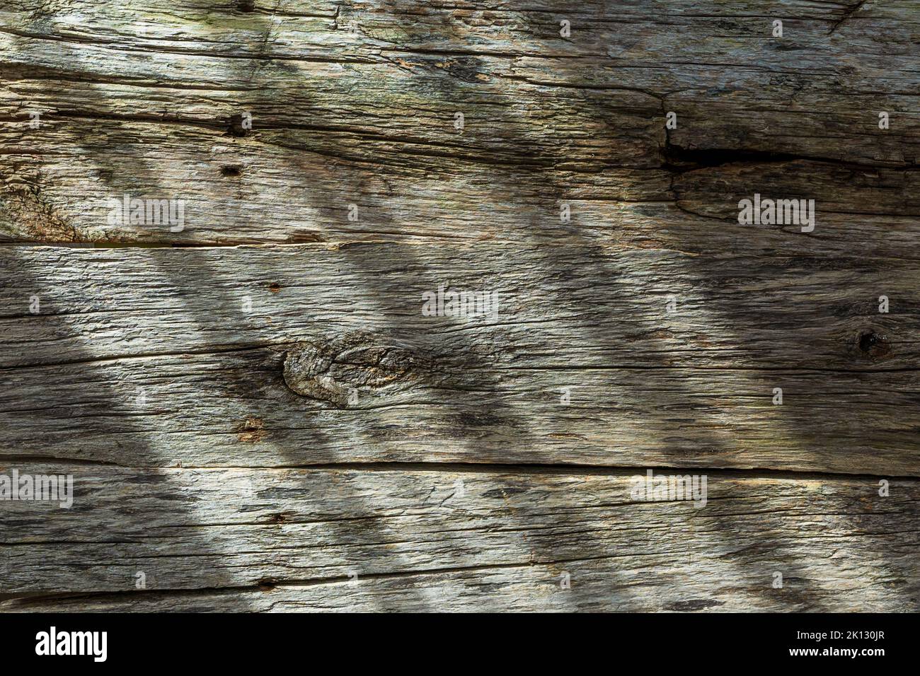 Wooden gray background, summer day, beautiful sun rays, shadows, copy ...