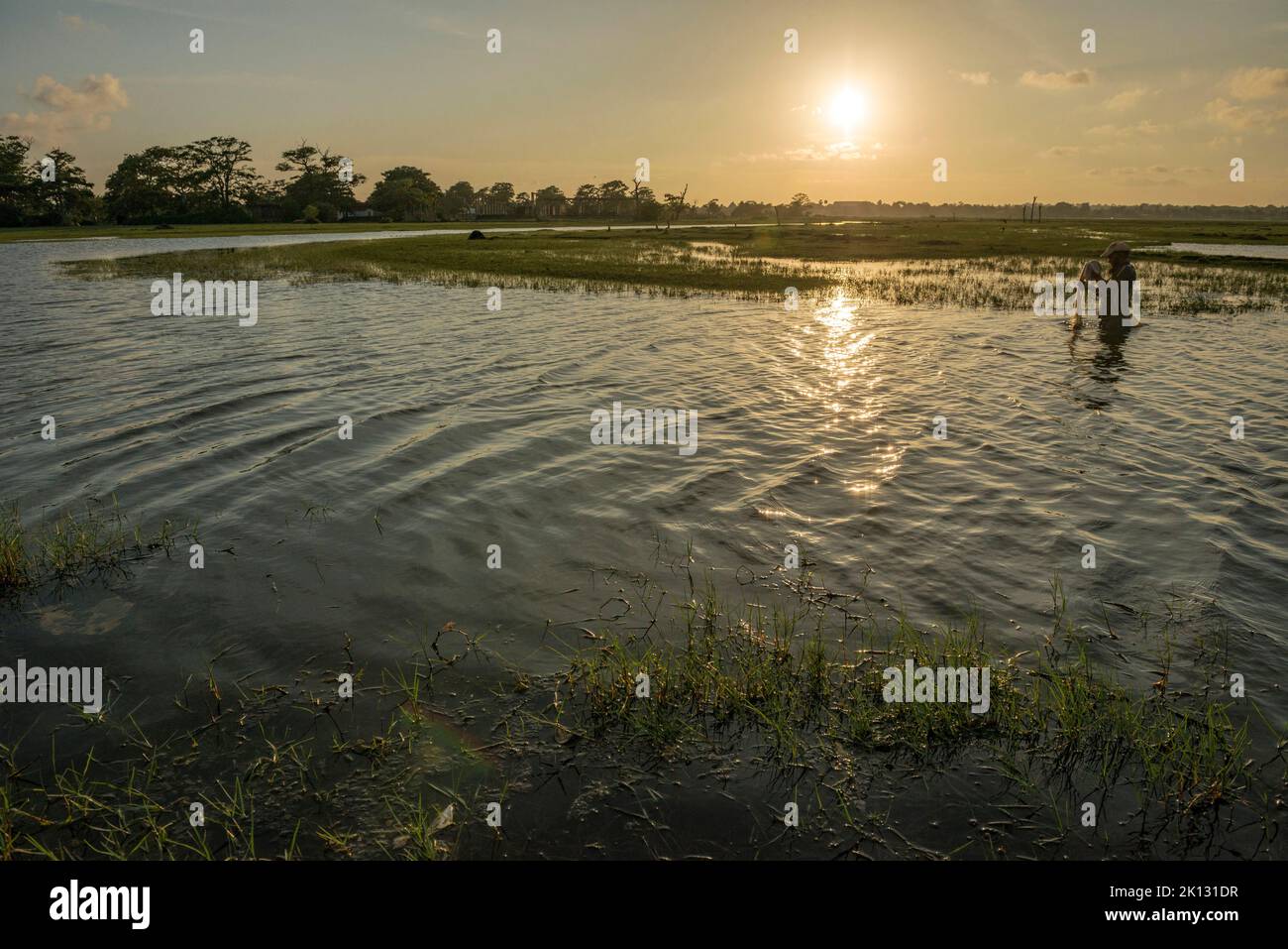 Sri Lanka, Ampara District, Pottuvil, pêcheur, Fischer, fisherman ...