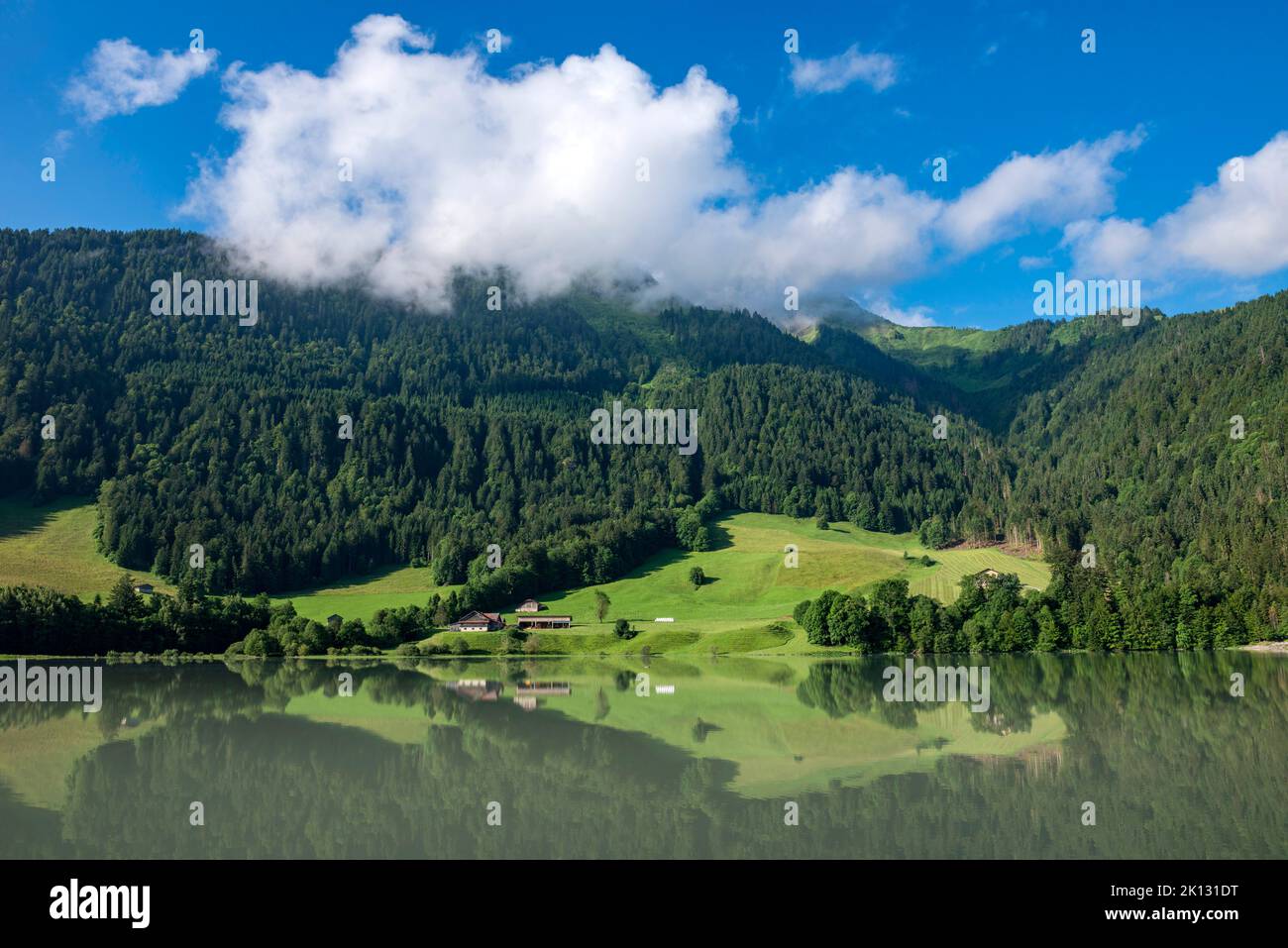 été de montagne hi-res stock photography and images - Alamy