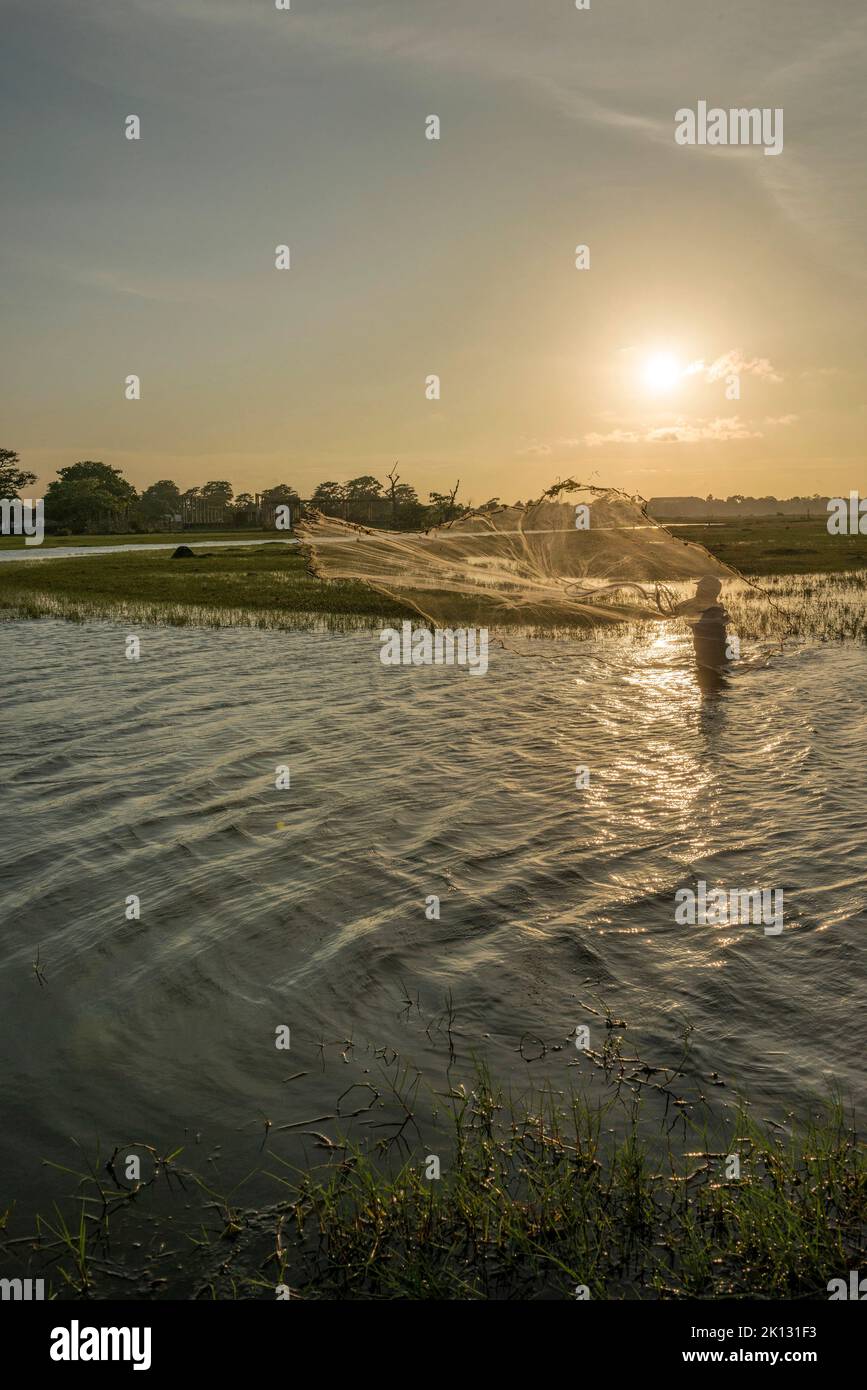 Sri Lanka, Ampara District, Pottuvil, pêcheur, Fischer, fisherman ...