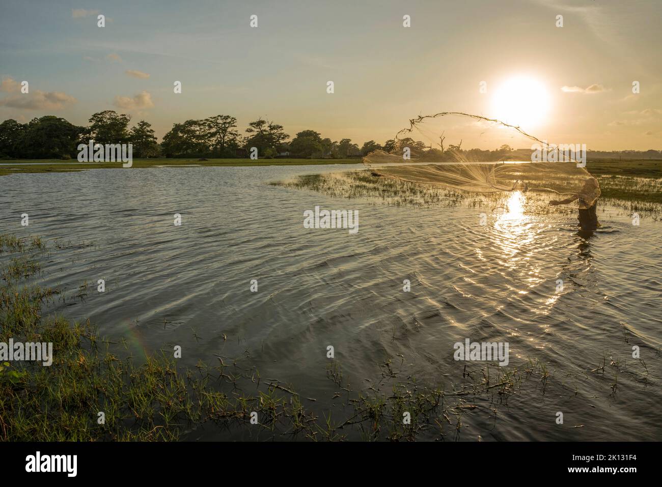 Sri Lanka, Ampara District, Pottuvil, pêcheur, Fischer, fisherman ...