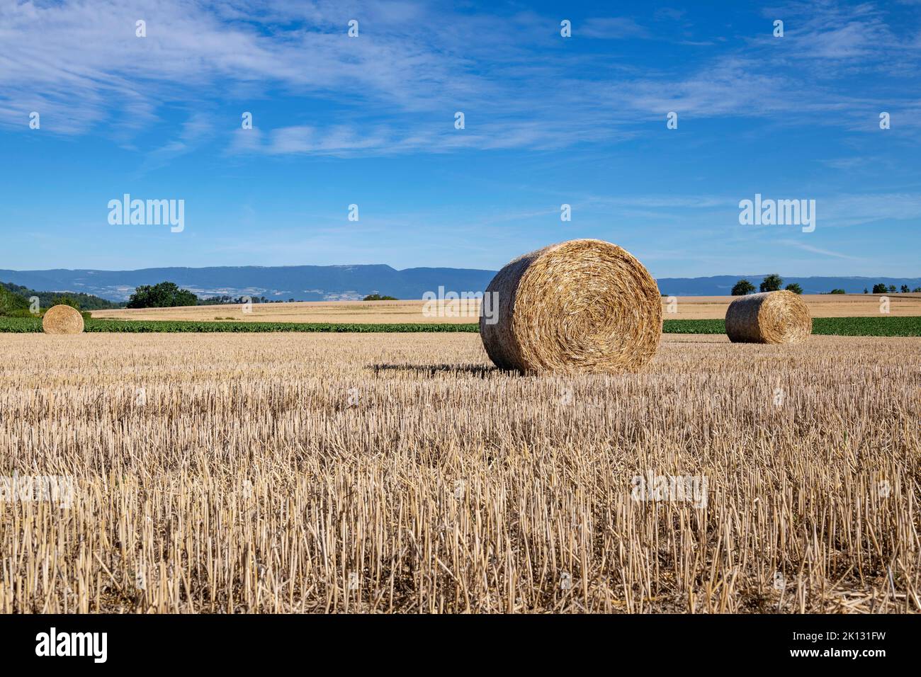 Suisse, Schweiz, Switzerland, Vaud, Waadt, Canton de Vaud, Kanton Waadt ...