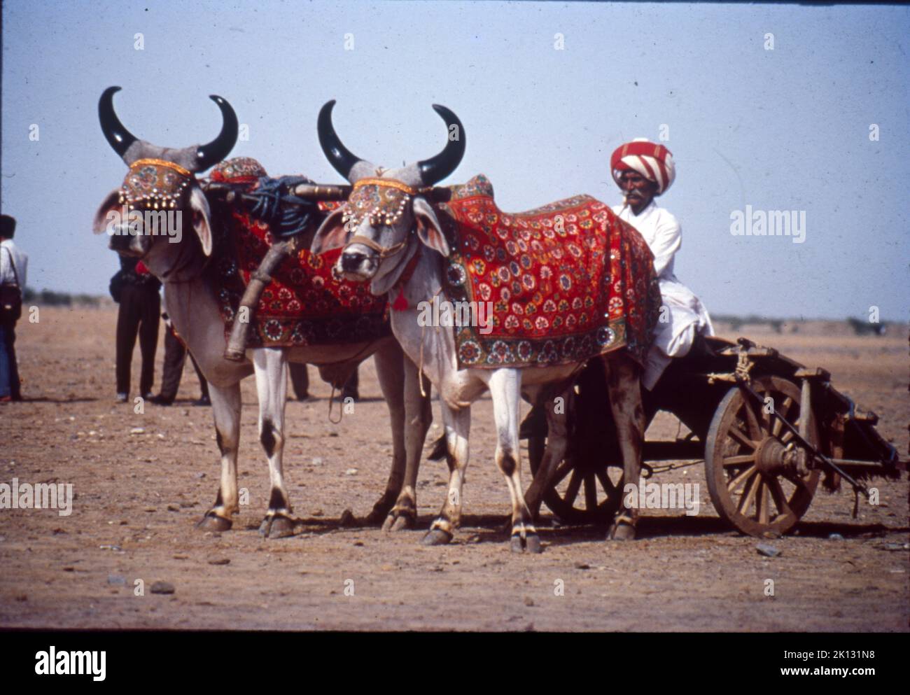 Decorated Bullock Cart, Kutch, Gujrat, India Stock Photo - Alamy