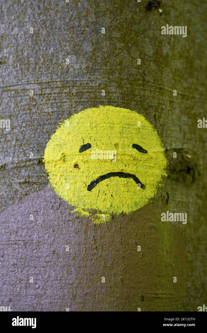 Vector smiley face hi-res stock photography and images - Alamy