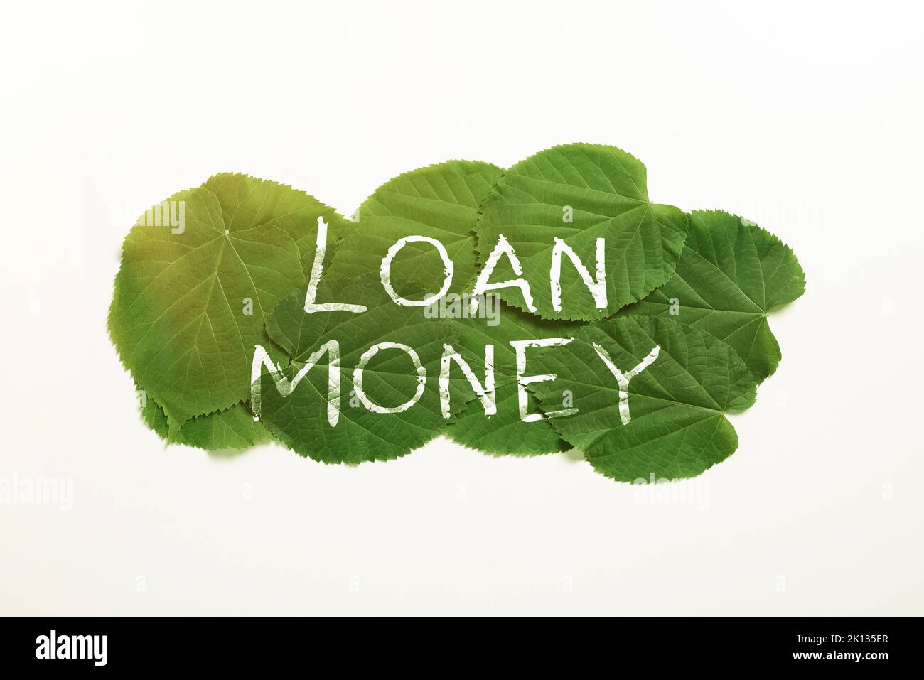 Text sign showing Find Your Niche. Word Written on Something lent or ...