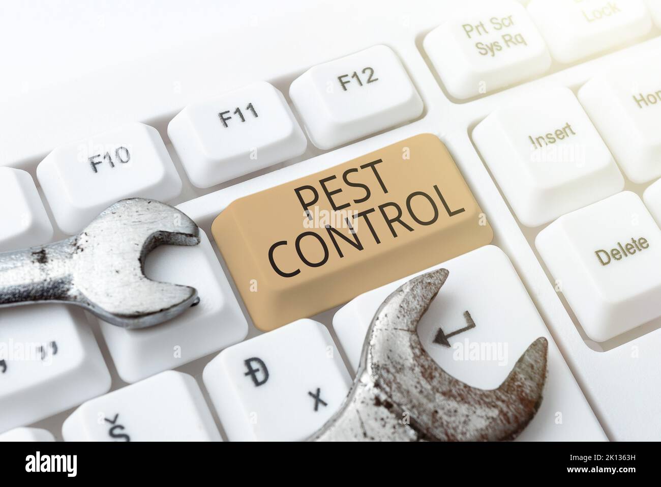 Conceptual display Pest Control. Business overview Killing destructive ...