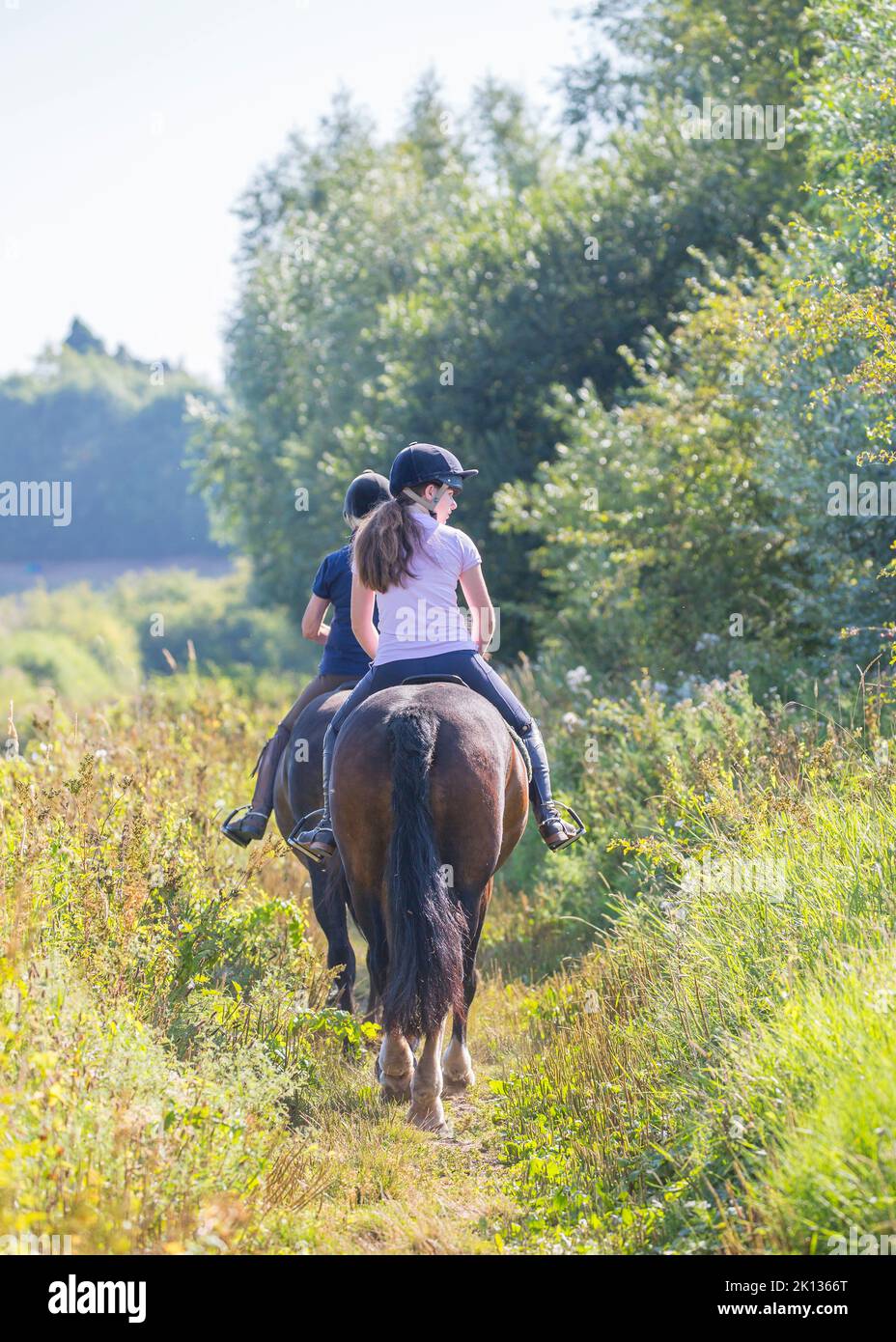 Rear view of two female riders on horses on a UK country path, bridleway on a hot summer day ...
