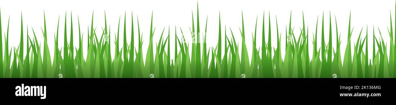 Lawn border. Green grass. Bright meadow plants Stock Vector Image & Art ...