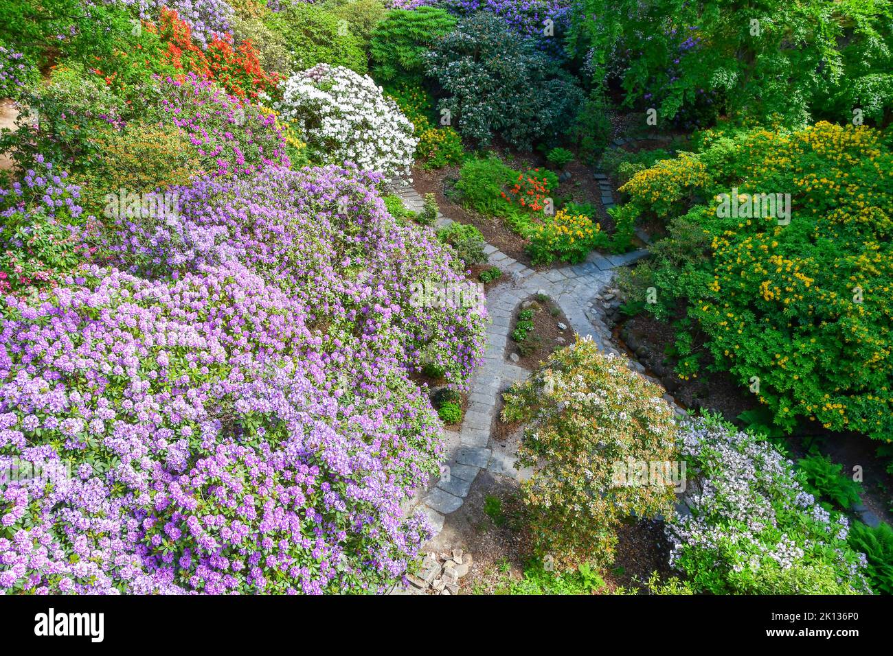 Helsingborg flower hi-res stock photography and images - Alamy