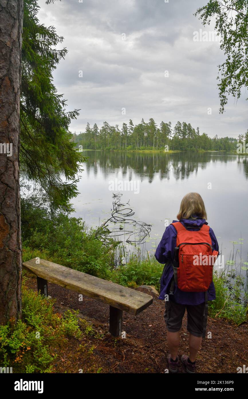 Woman from behind standing and watching the reflection of trees in a ...