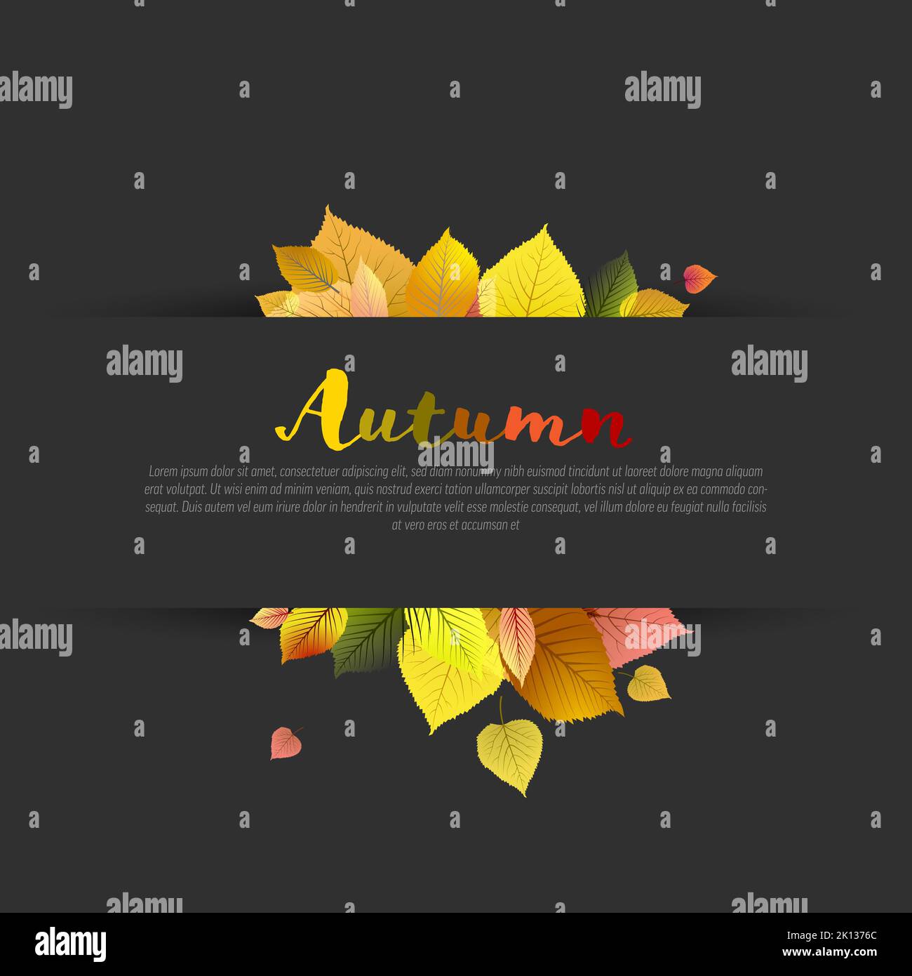 Cove stripe Stock Vector Images - Alamy