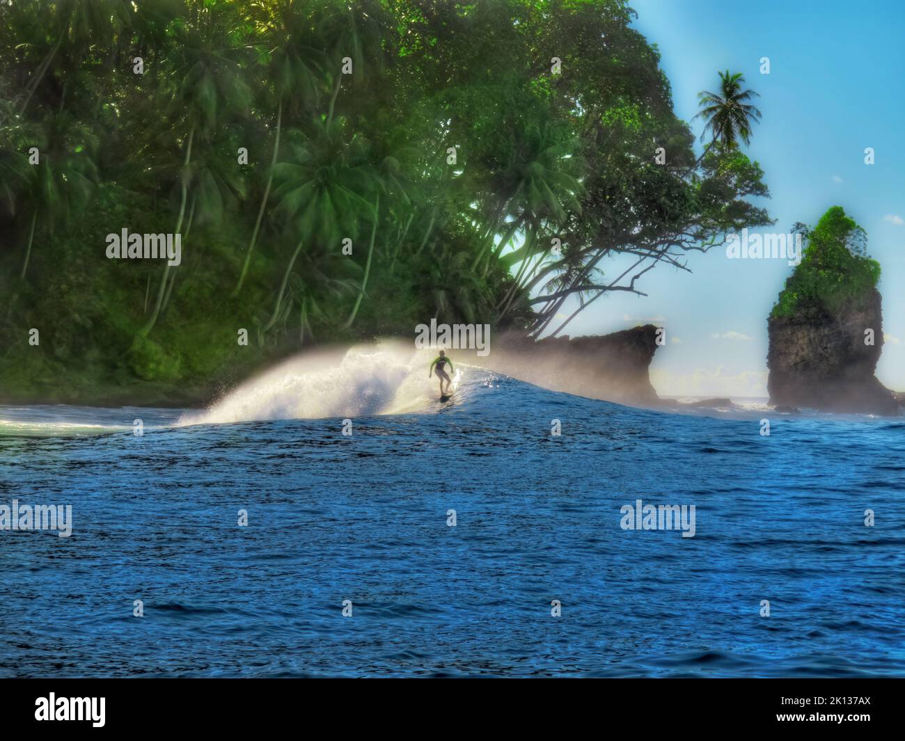 Lone surfer riding a wave at a tropical island Stock Photo - Alamy