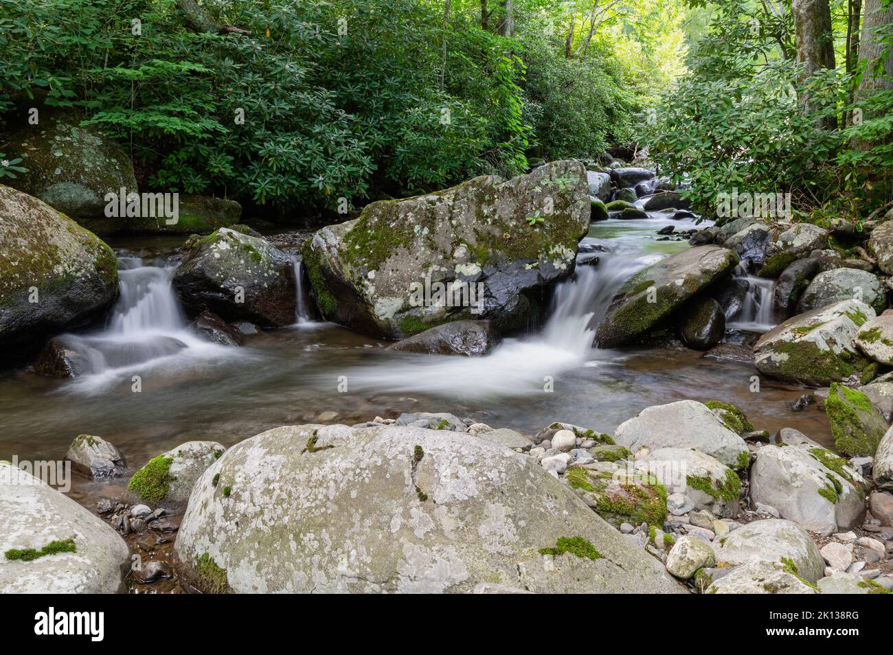 A calming mountain stream flows through dense summer forest, Blue Ridge ...