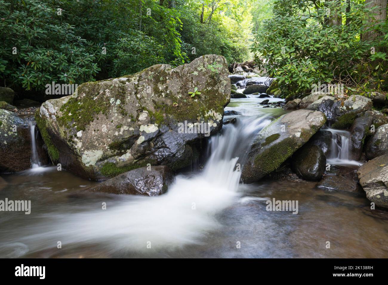 A calming mountain stream flows through dense summer forest, Blue Ridge ...