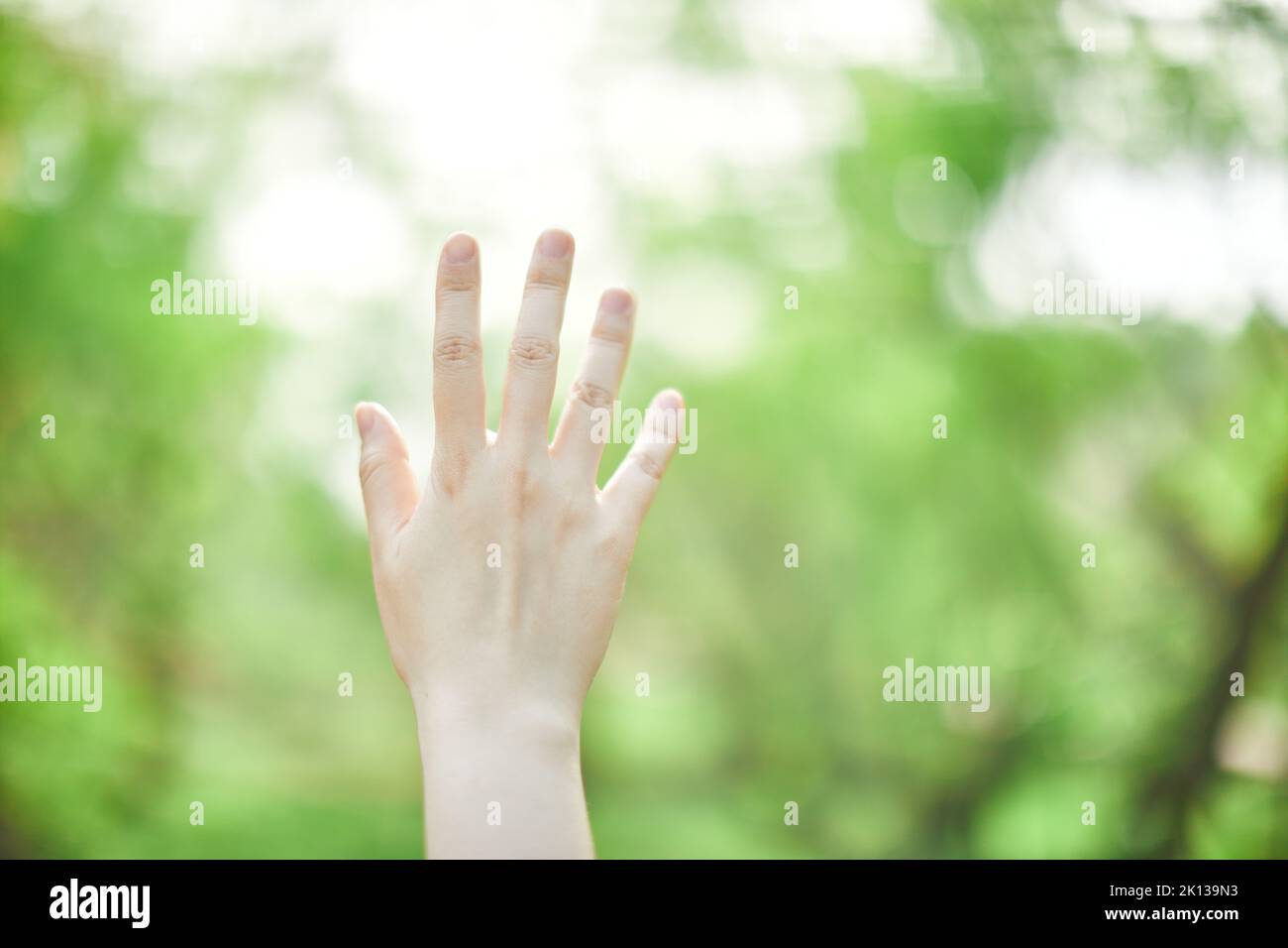 Japanese woman hand in a forest Stock Photo - Alamy