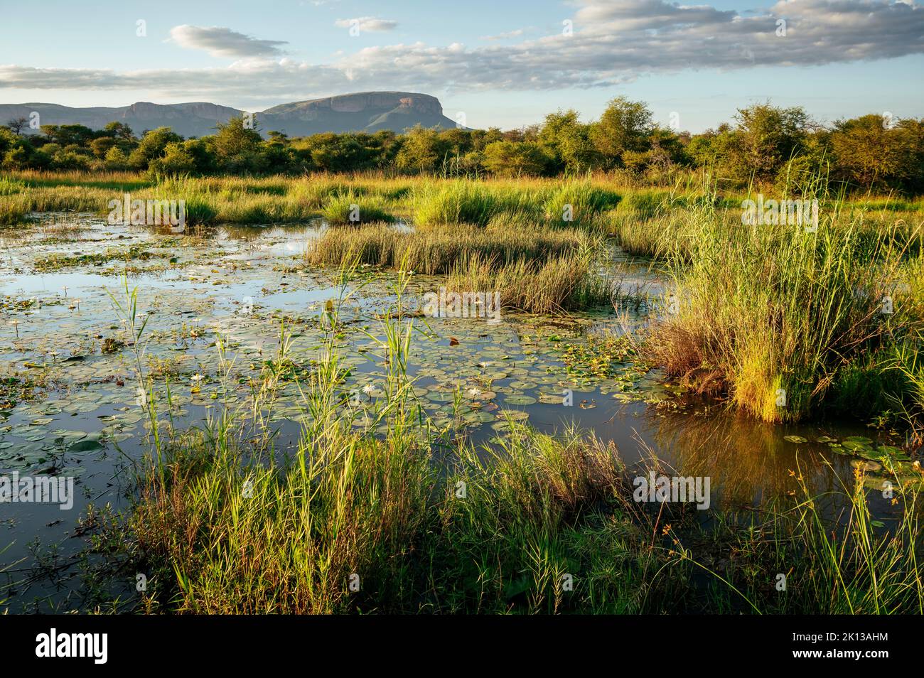 Landscape in Marataba, Marakele National Park, South Africa, Africa ...