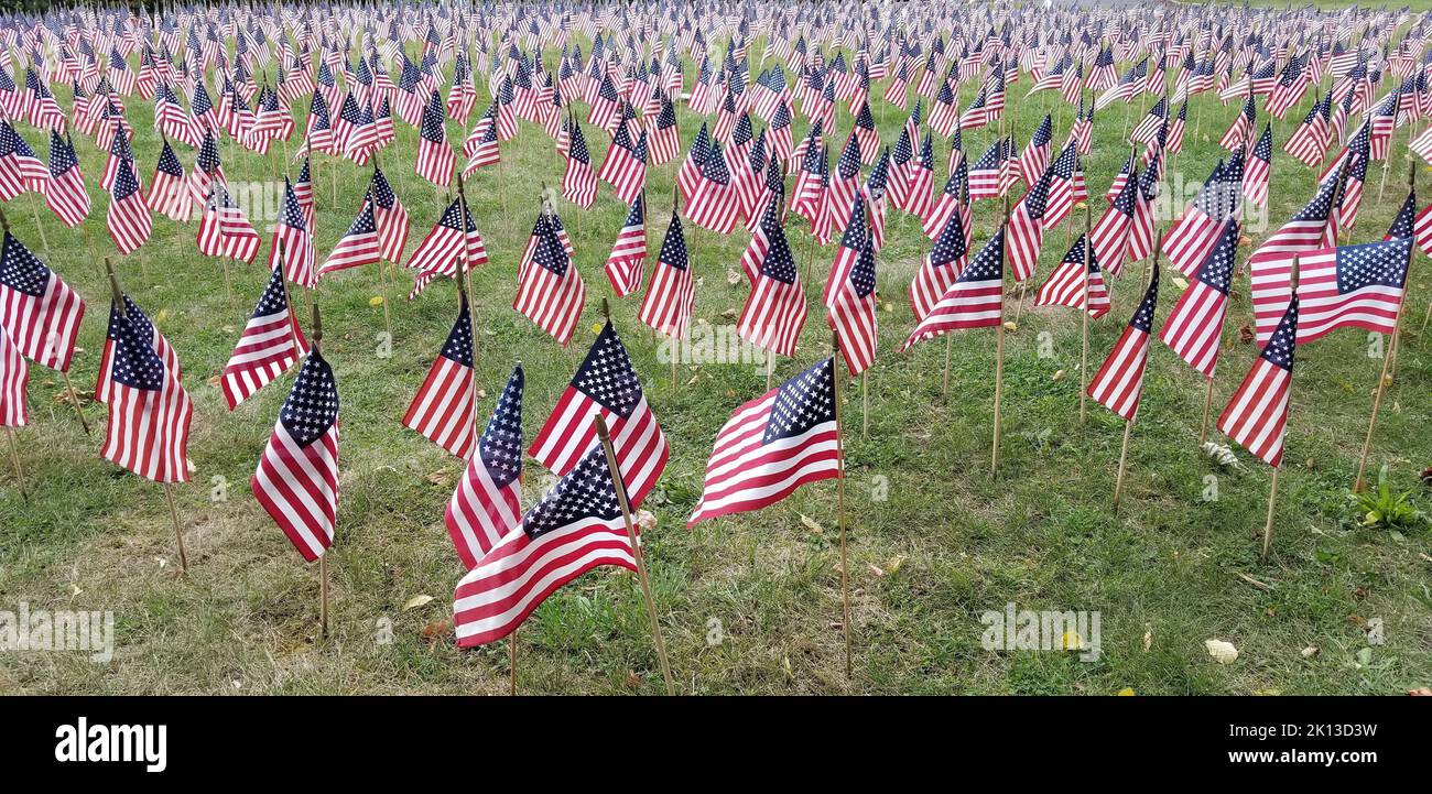 A park full of the USA flags Stock Photo - Alamy