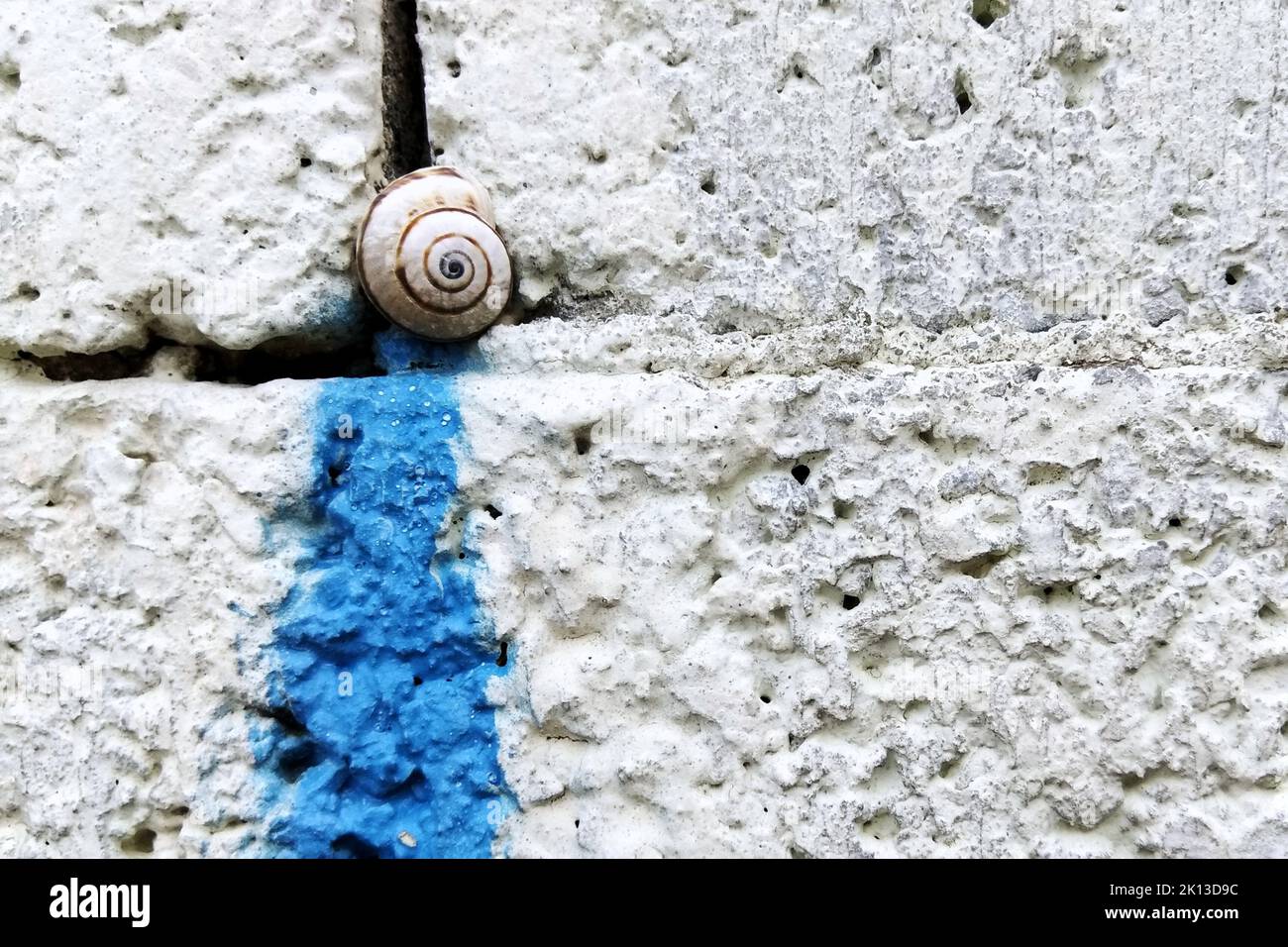 A white and blue granite wall background with a snail stuck between the ...