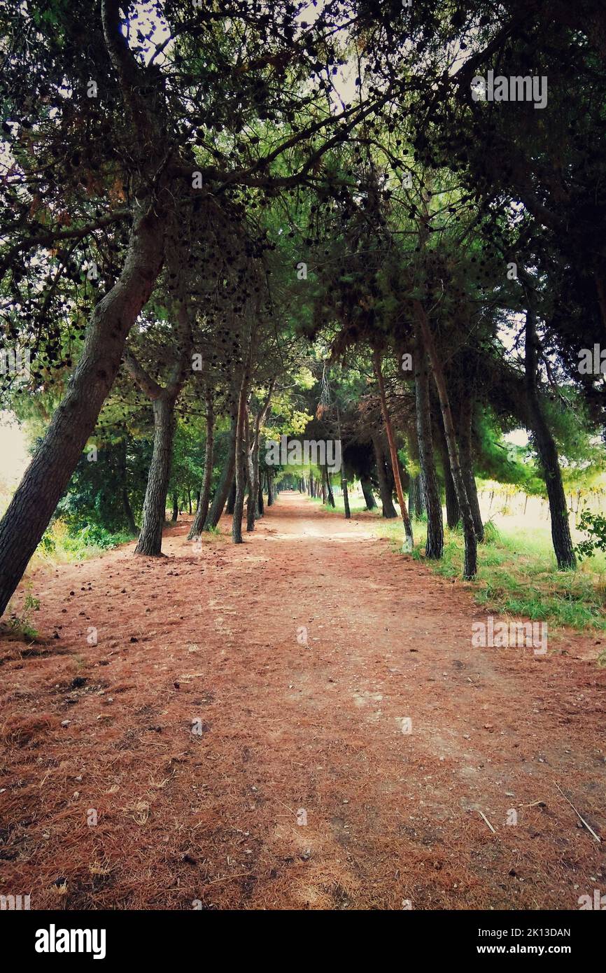 Vertical shot beautiful pathway hi-res stock photography and images - Alamy