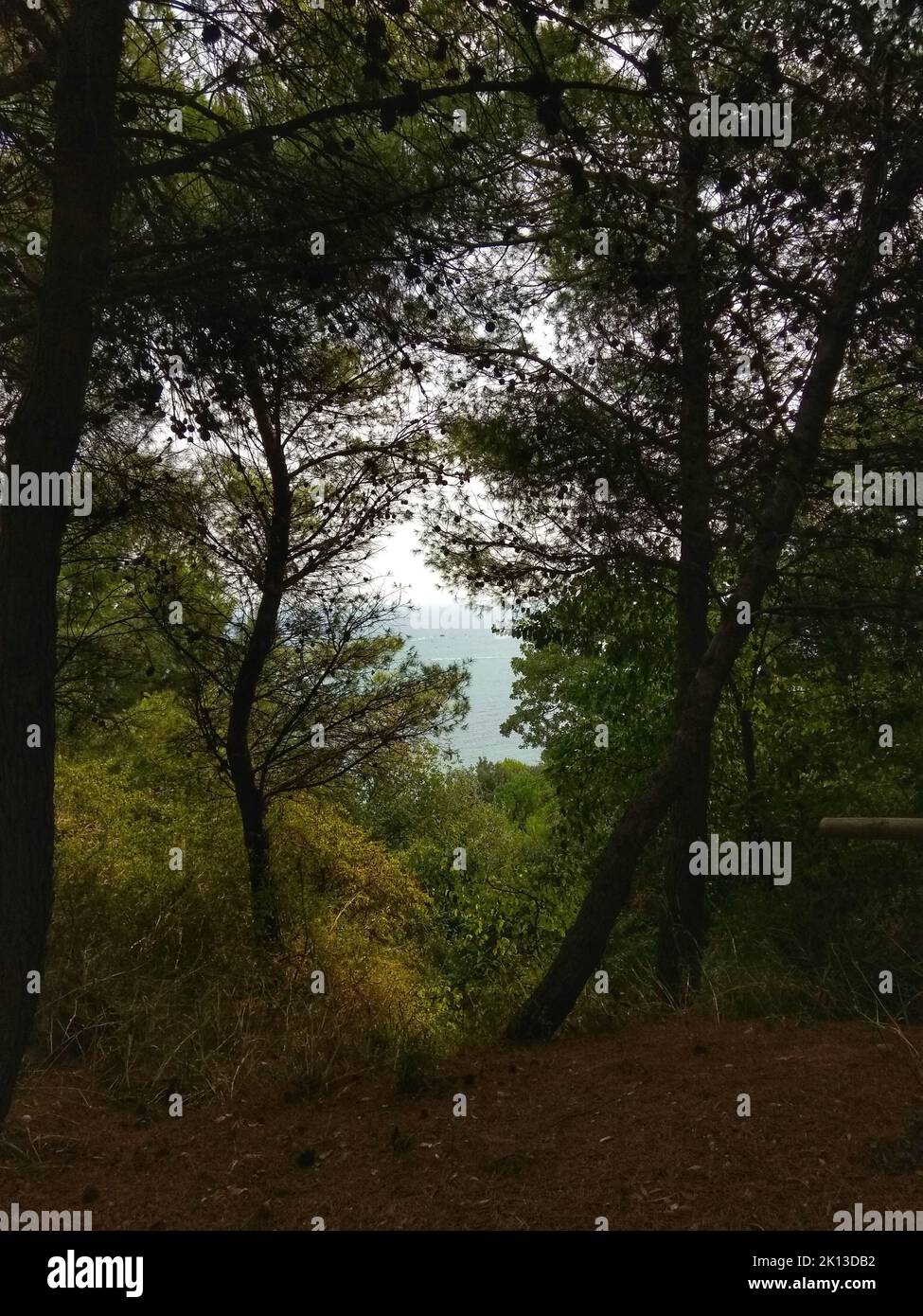 Vertical shot beautiful pathway hi-res stock photography and images - Alamy