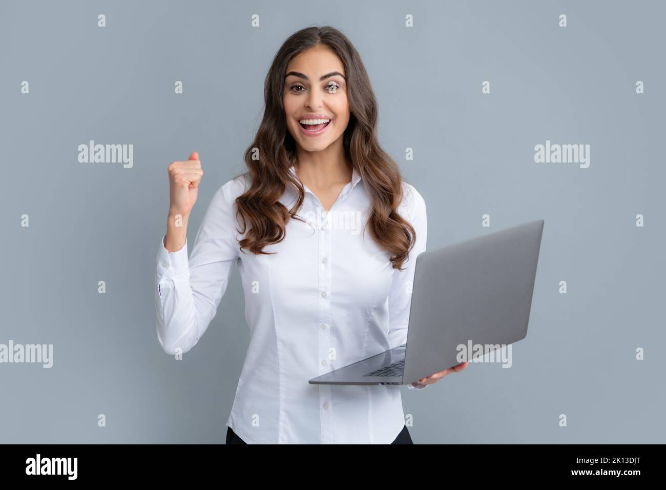 Portrait of positive cheerful ceo expert business woman work at laptop ...