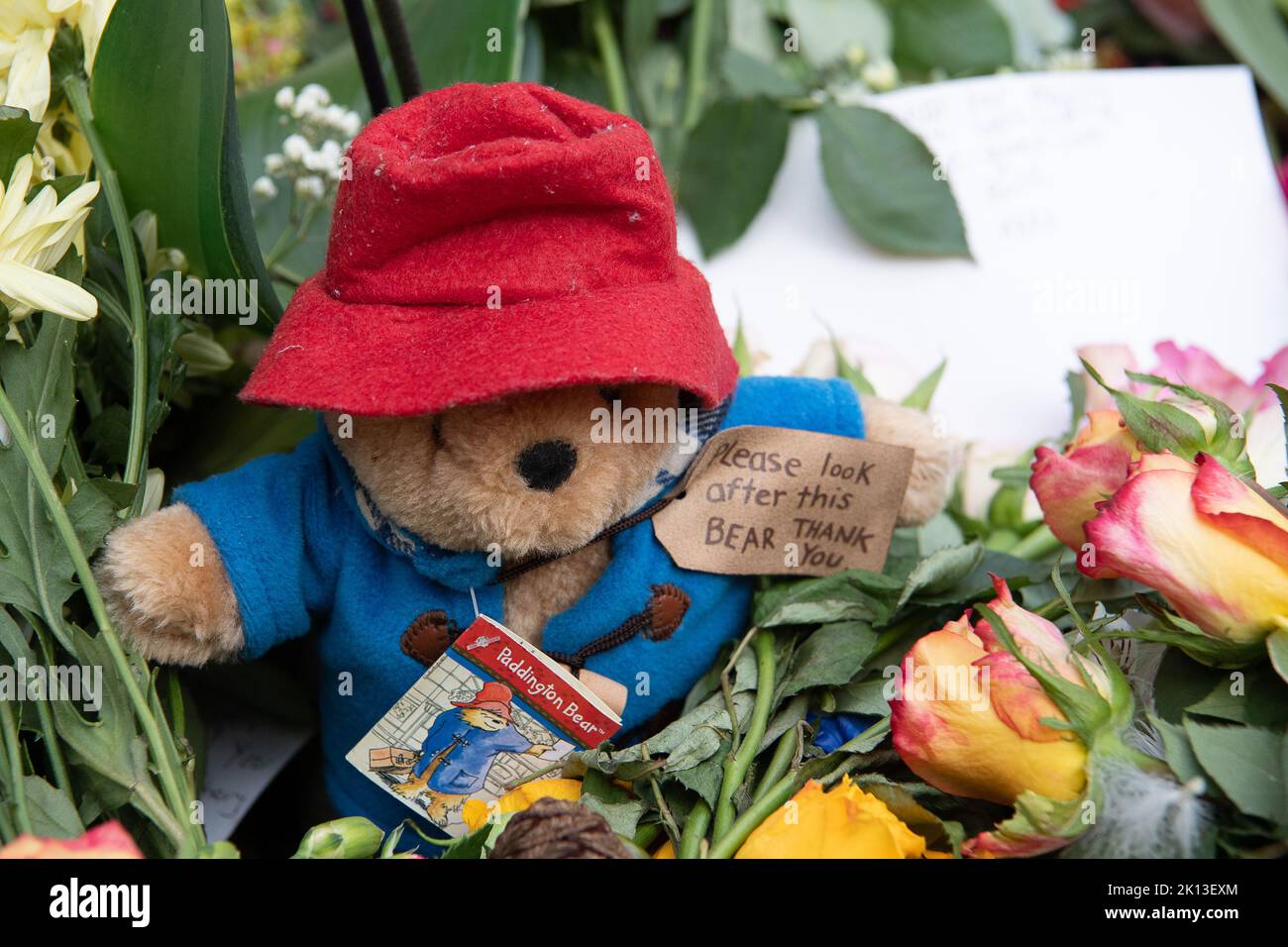 The queen and paddington bear hi-res stock photography and images - Alamy