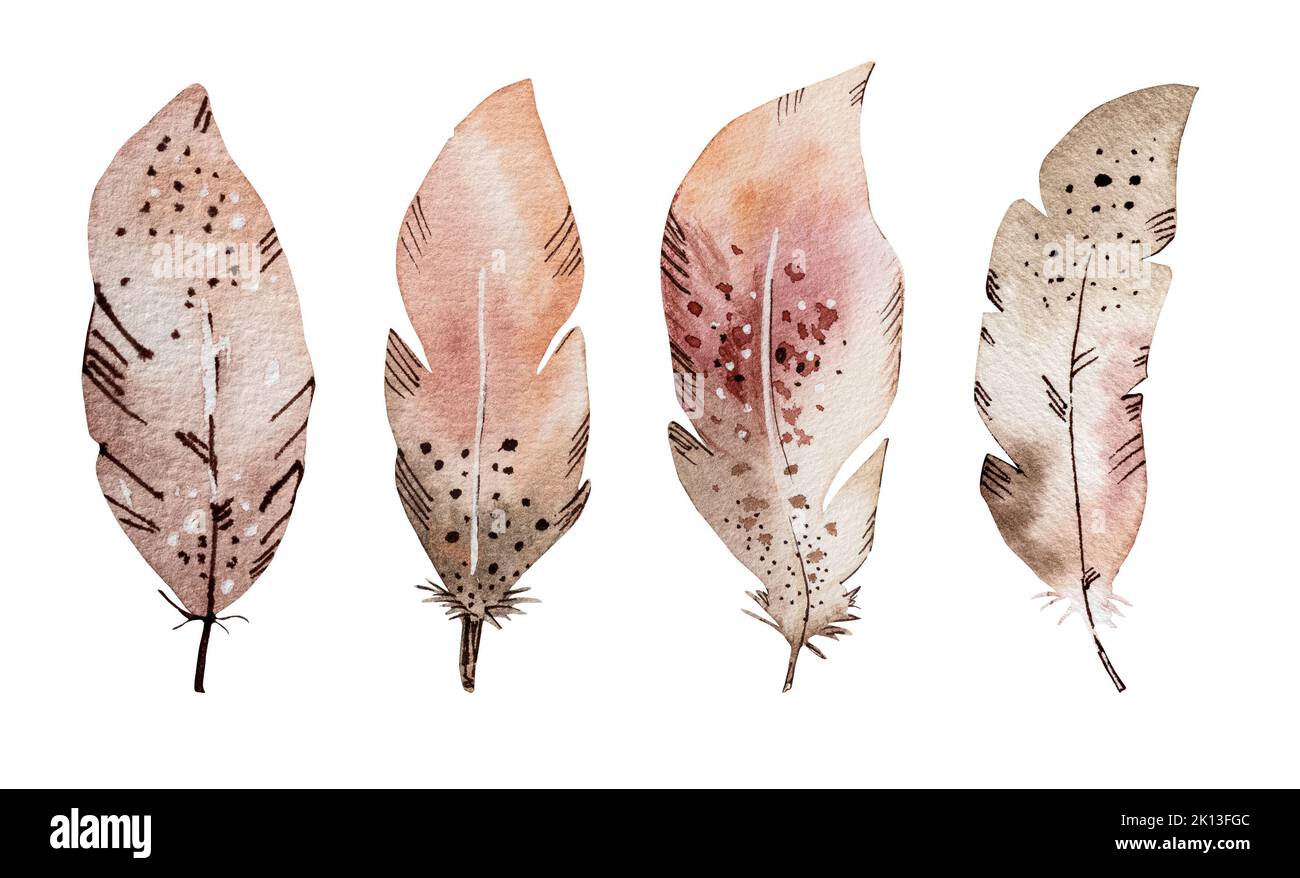 Bird watercolor paintings Cut Out Stock Images & Pictures - Alamy