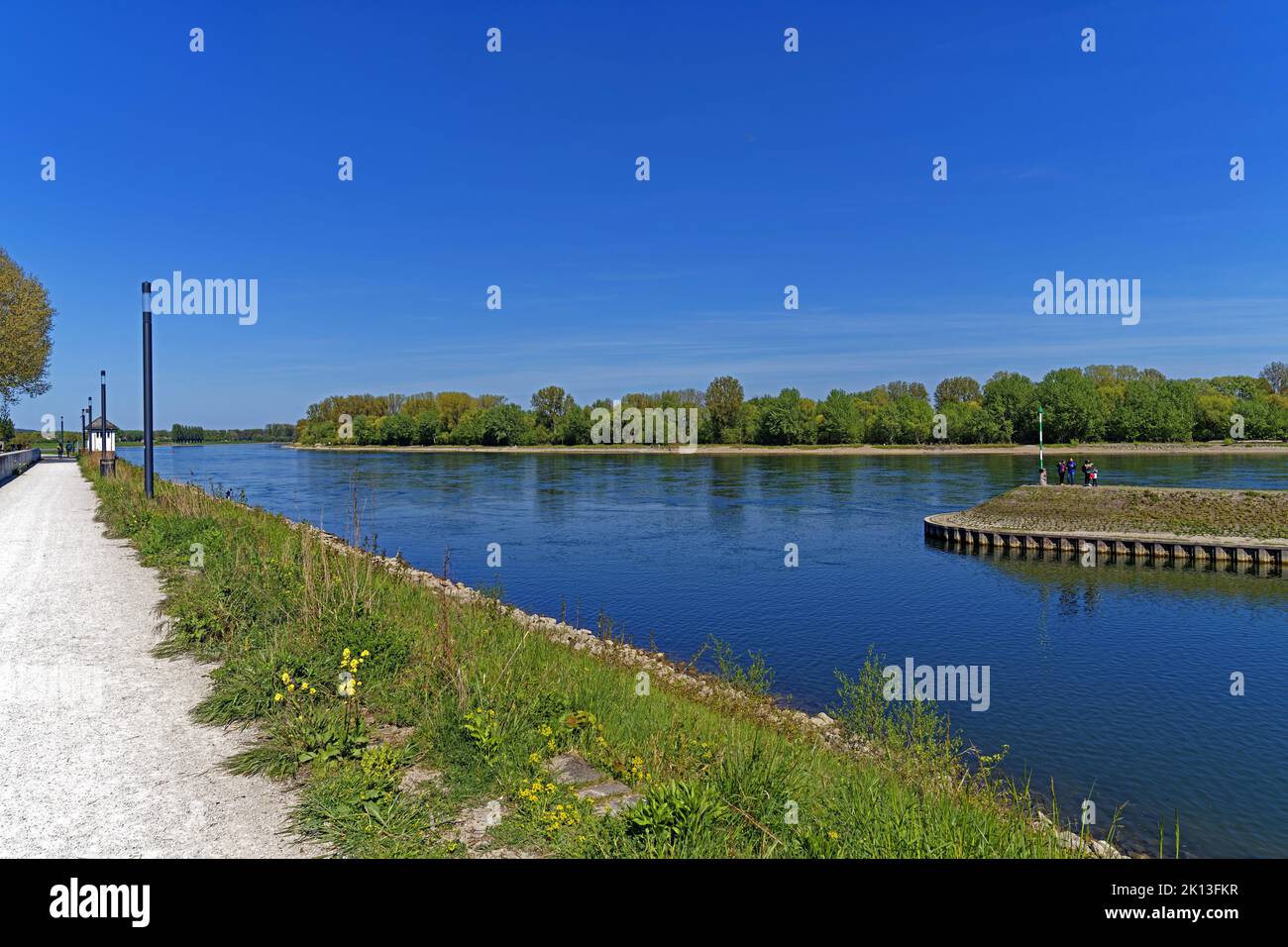 Fluß, Rhein, Sportboothafen *** Local Caption *** Europe, Germany ...