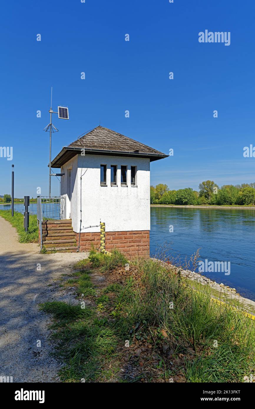 Fluß, Rhein, Pegel Speyer Rhein *** Local Caption *** Europe, Germany ...
